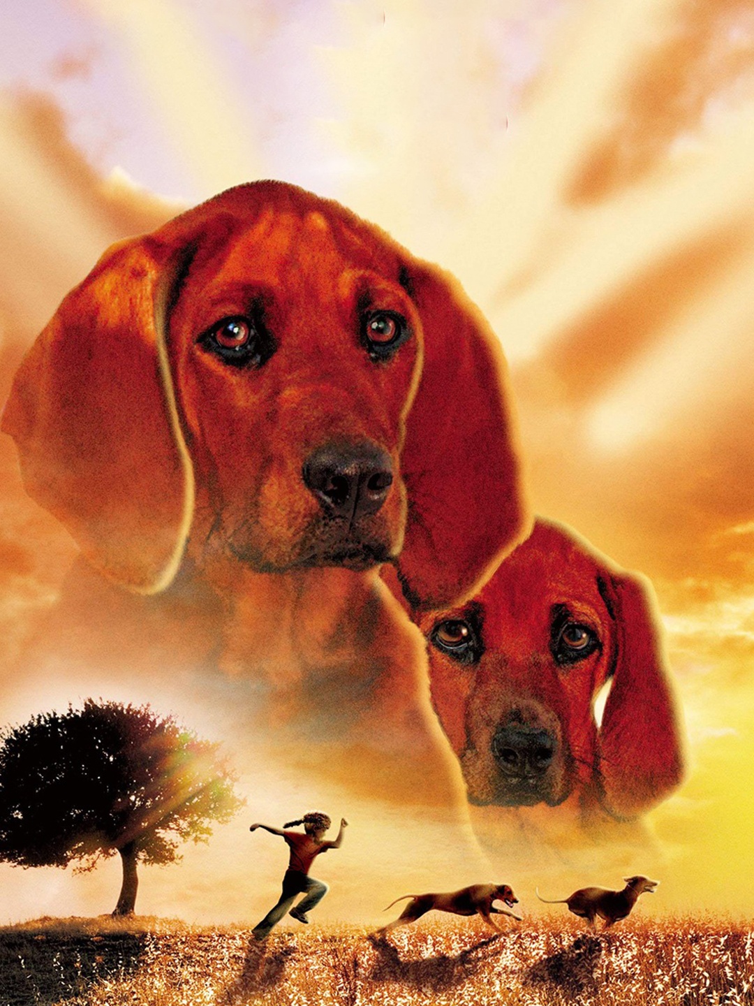 Where The Red Fern Grows Billy