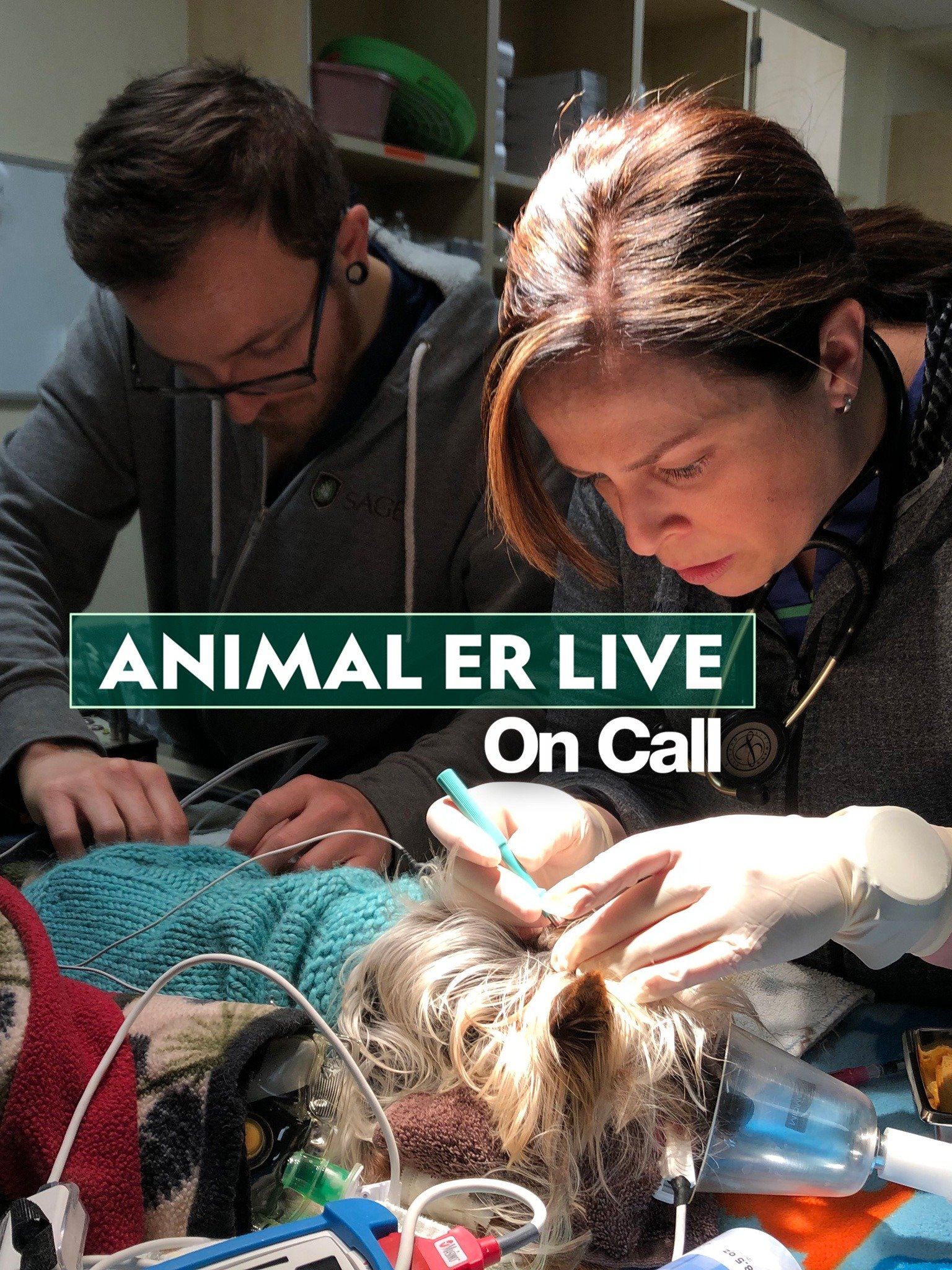 Animal ER Live: On Call - Rotten Tomatoes