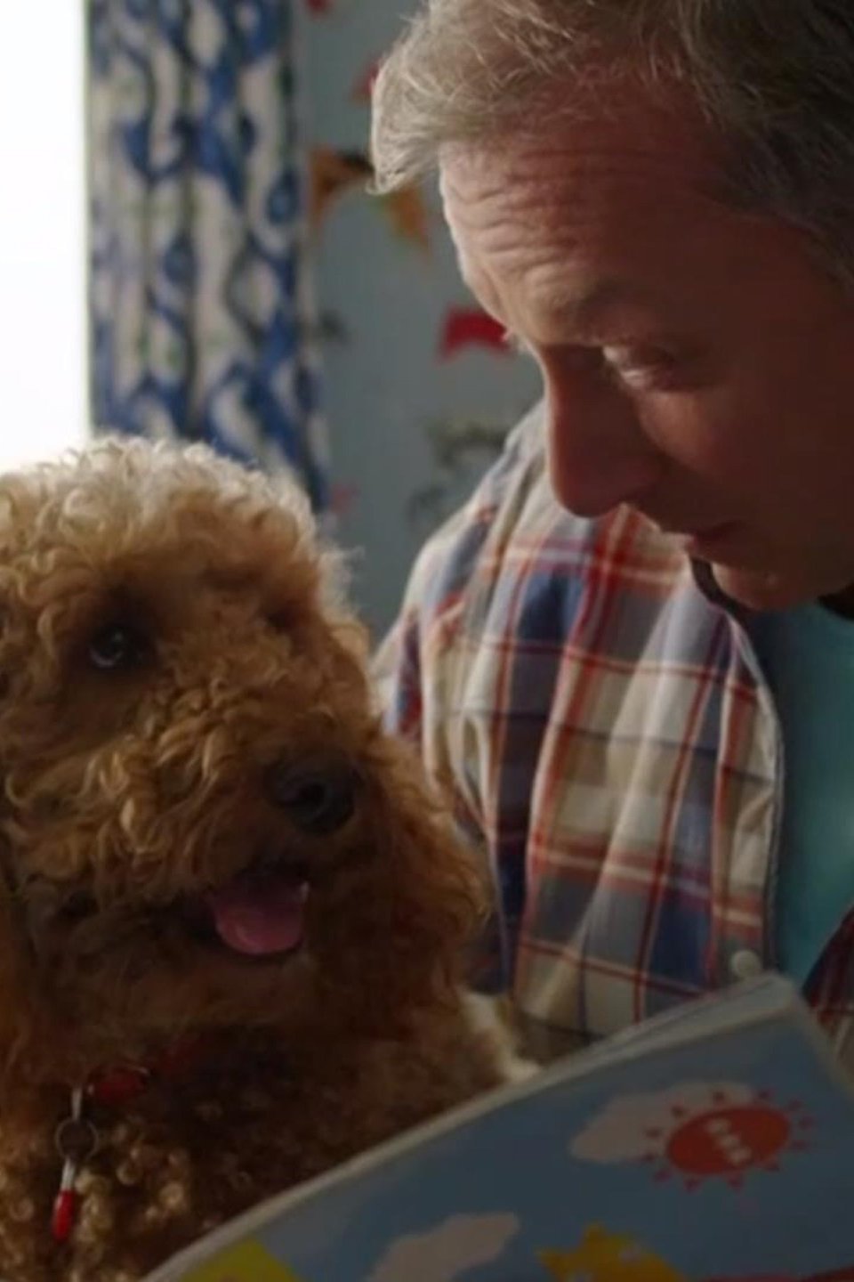 Waffle Learns to Read Pictures - Rotten Tomatoes