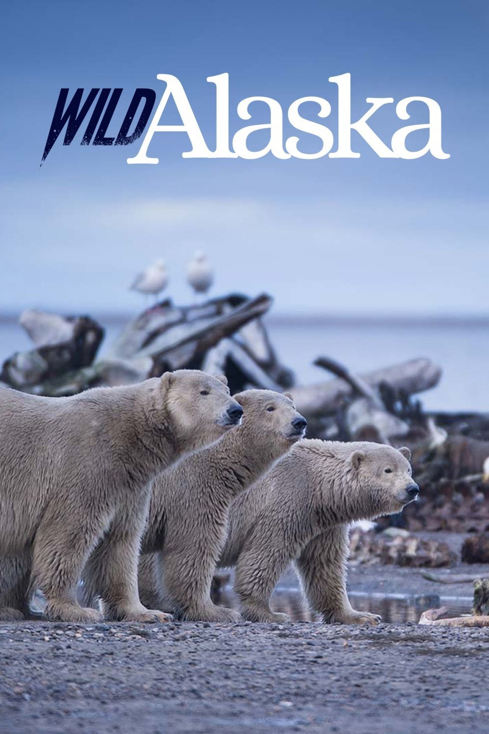 Wild Alaska - Rotten Tomatoes