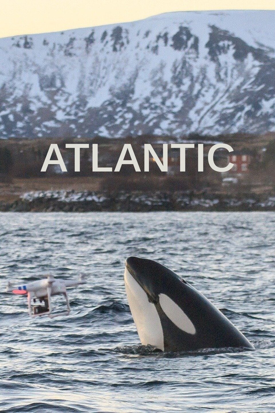 Atlantic - Rotten Tomatoes