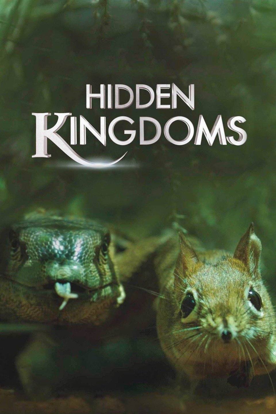 Hidden Kingdoms - Rotten Tomatoes