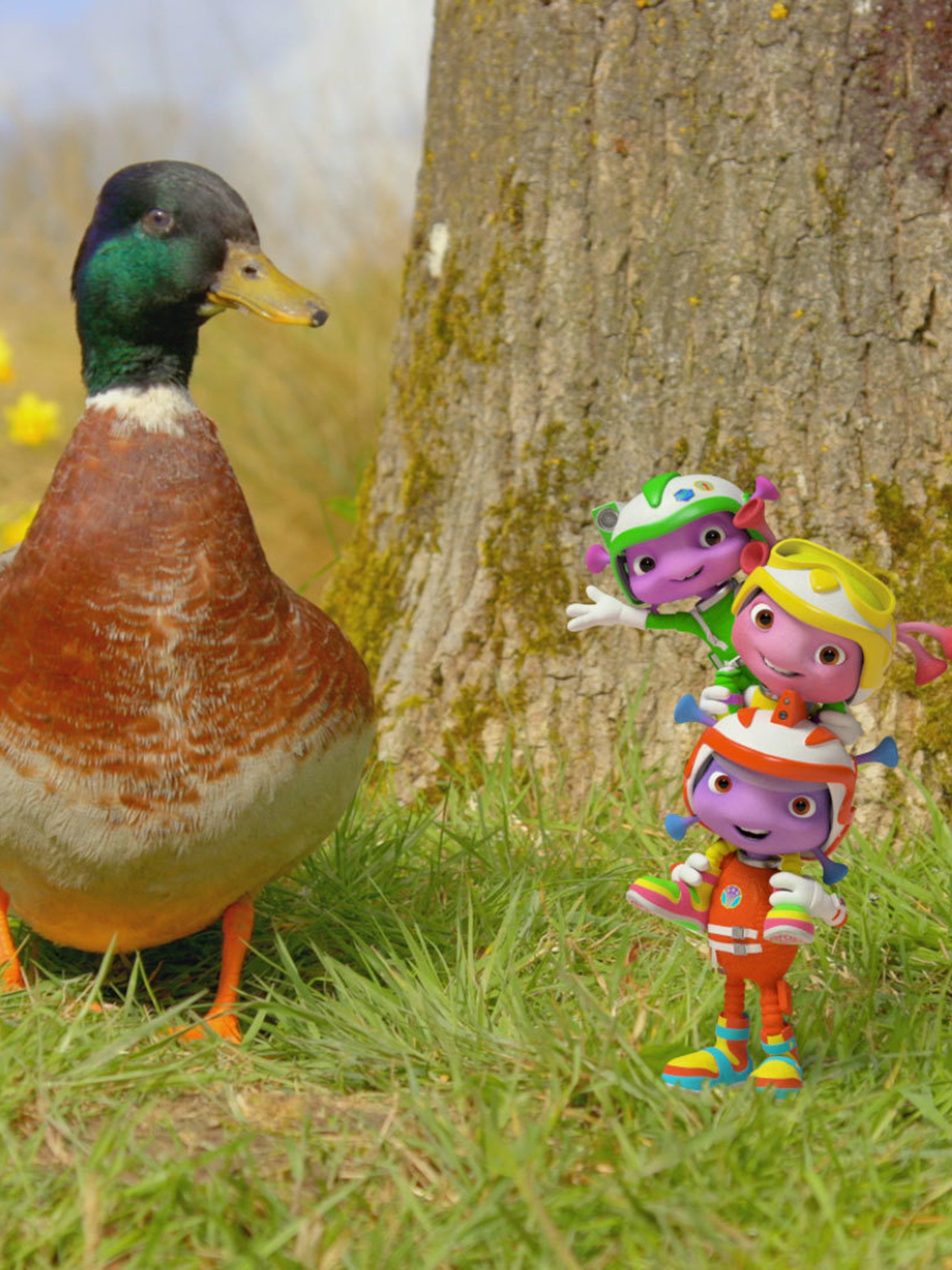 Project Duck Pictures - Rotten Tomatoes