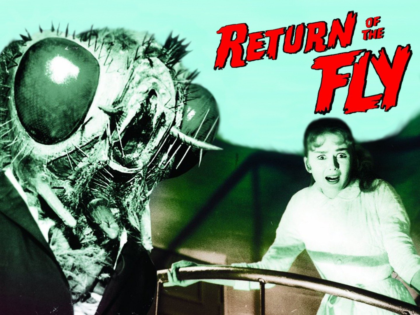 Return Of The Fly