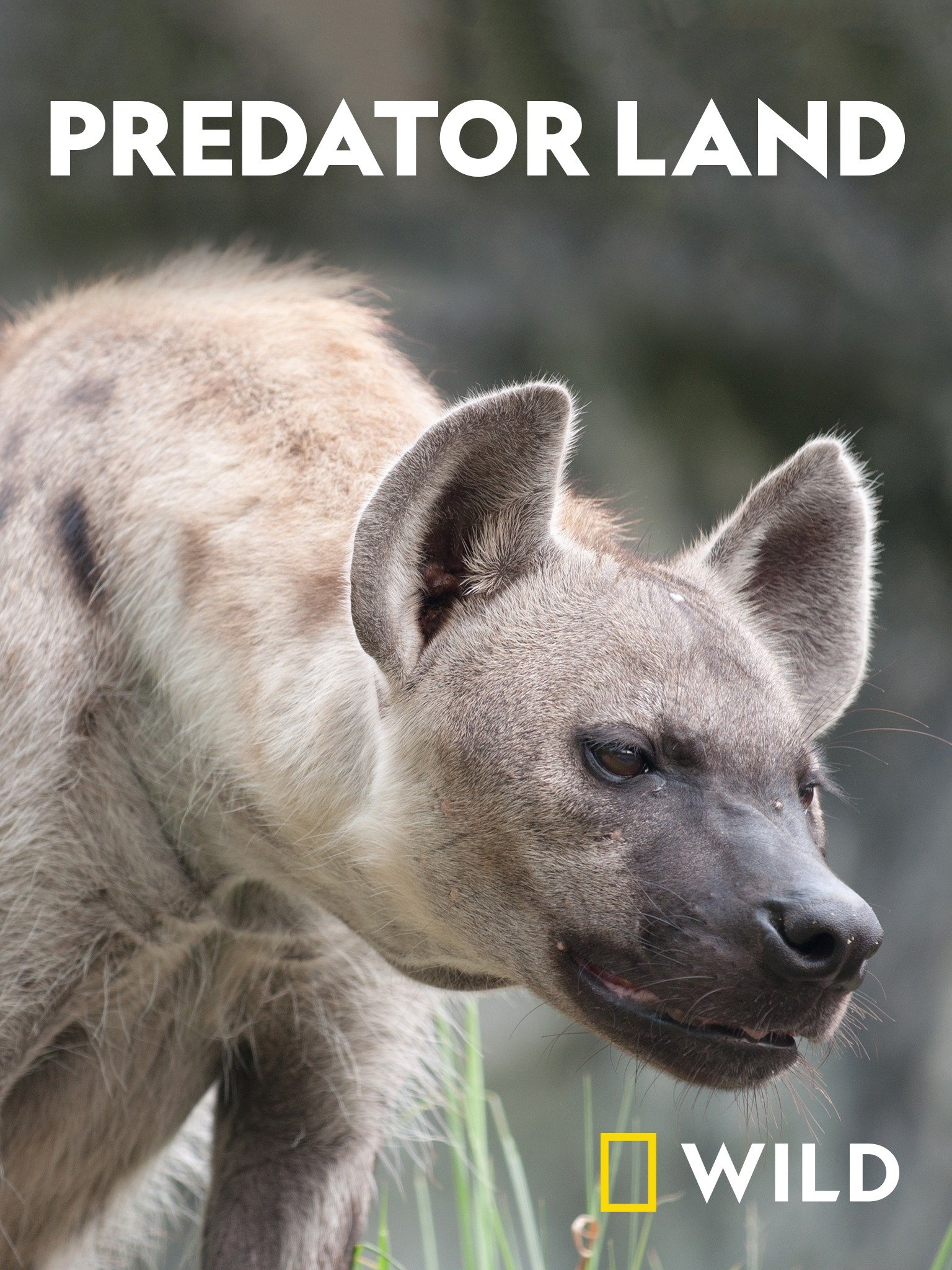 Predator Land - Rotten Tomatoes