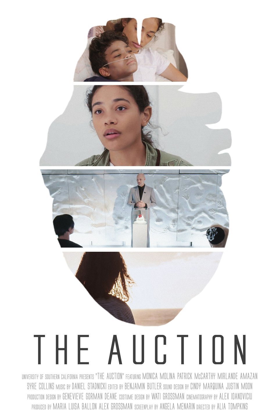 The Auction - Rotten Tomatoes