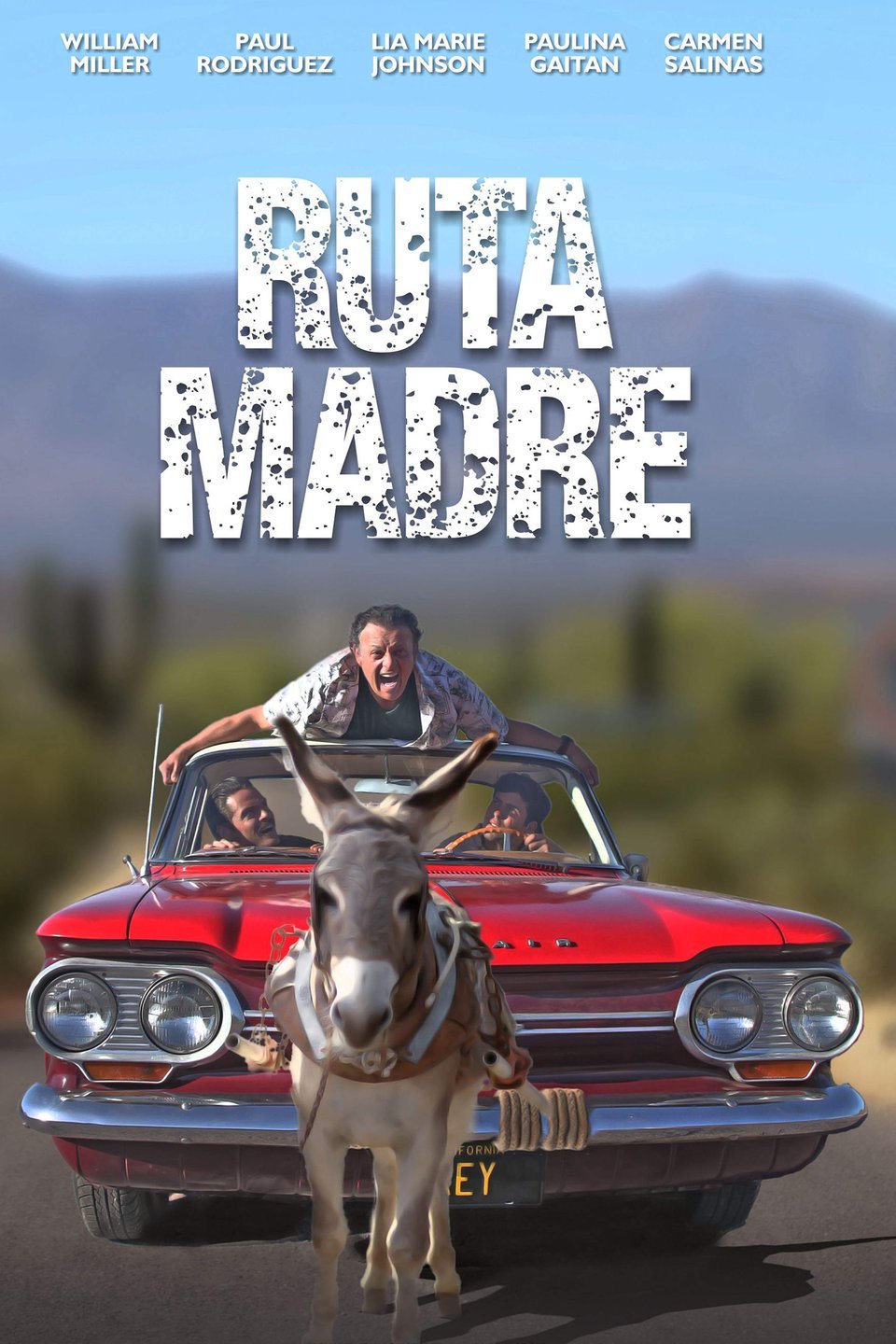 Ruta madre - Movie Reviews
