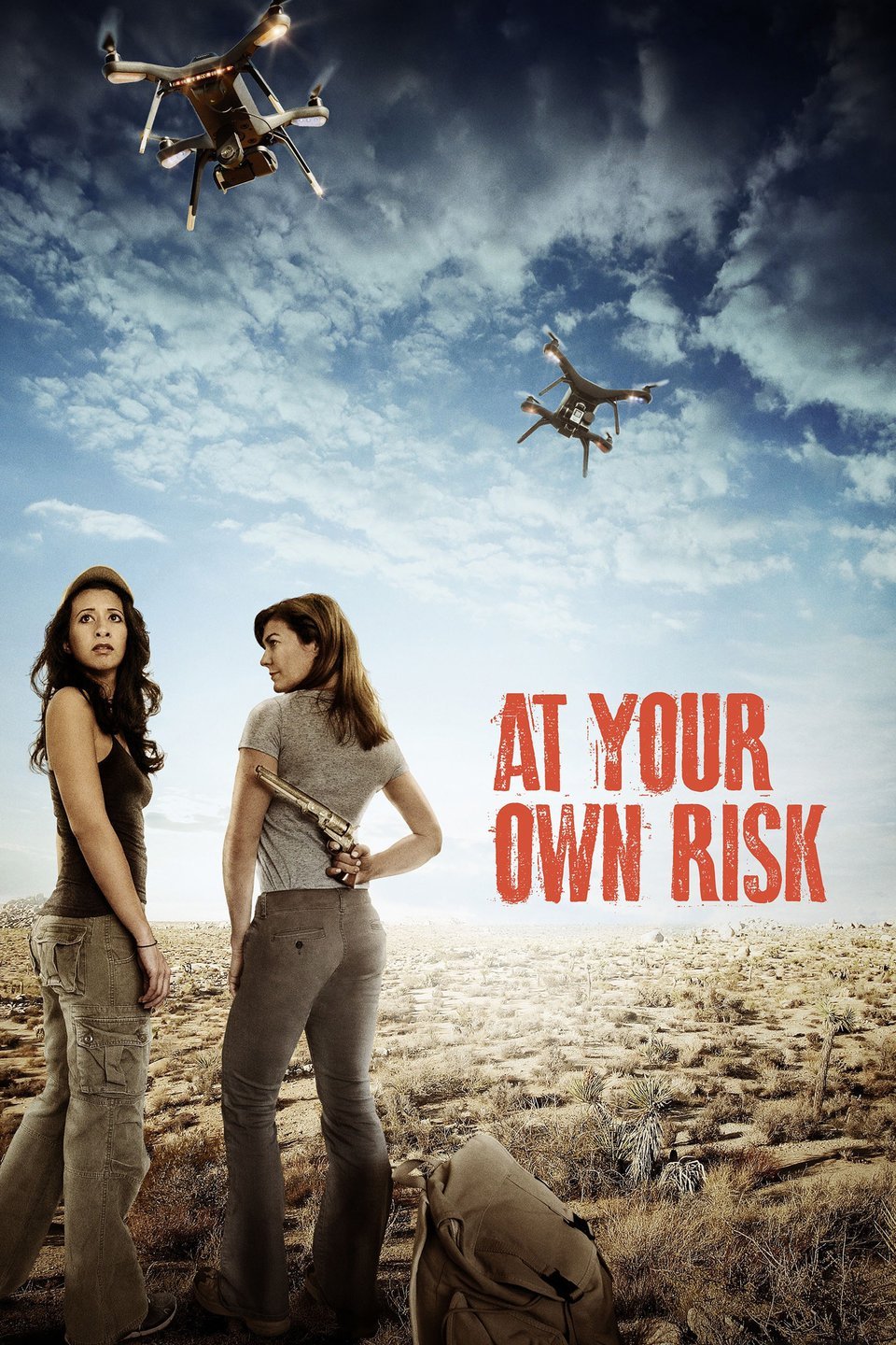 At Your Own Risk - Rotten Tomatoes