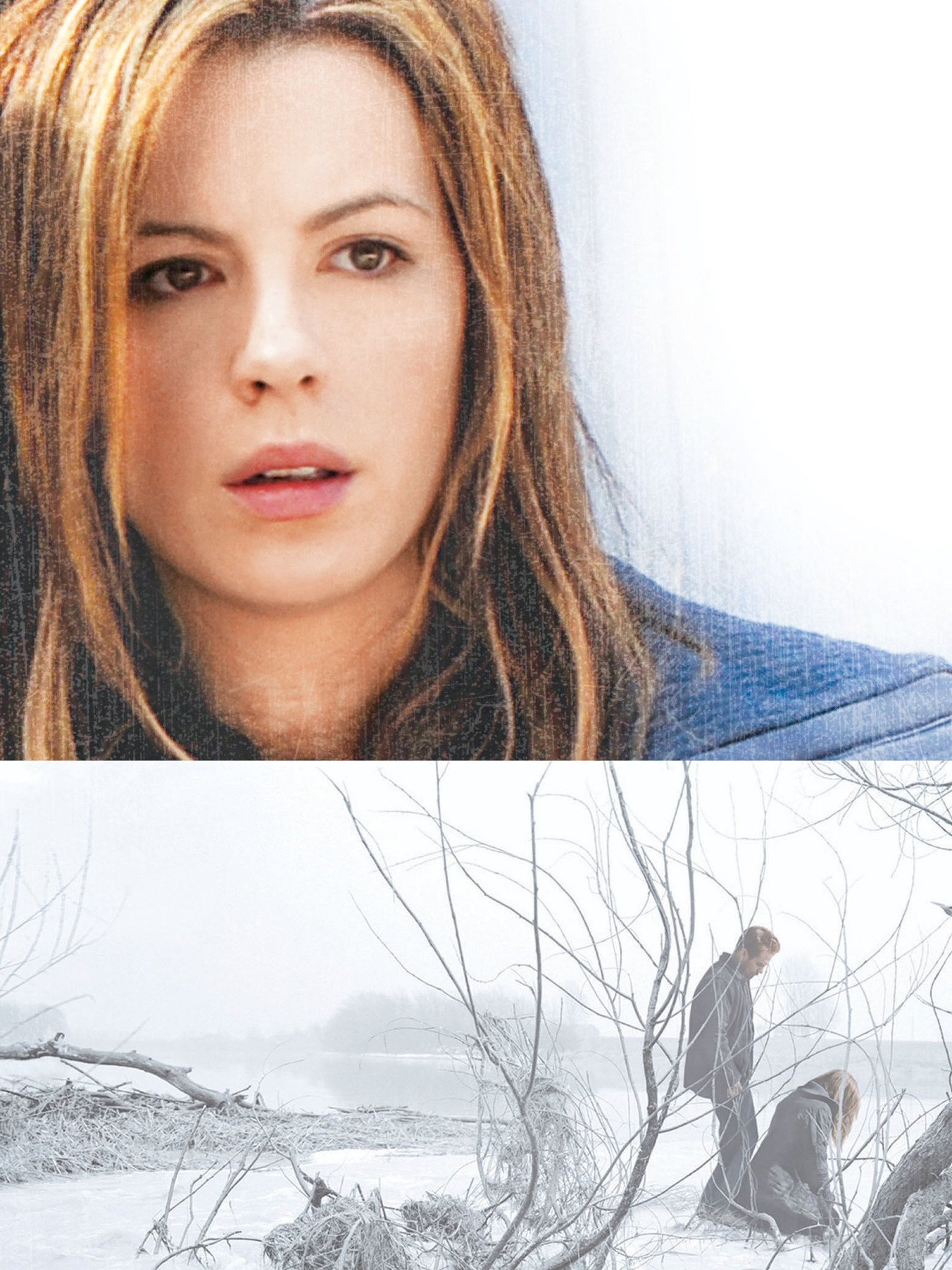 Trailers And Videos Rotten Tomatoes