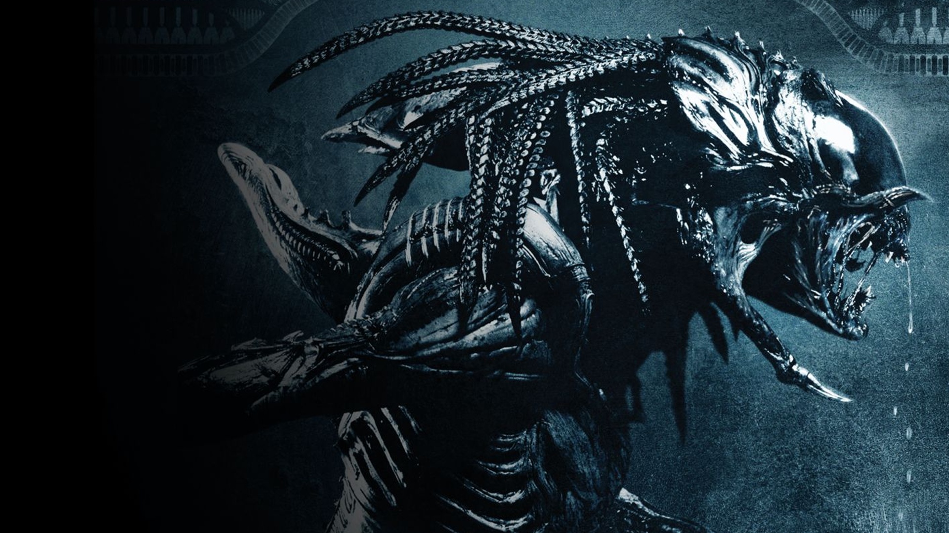 Alien Vs Predator Wallpaper Hd