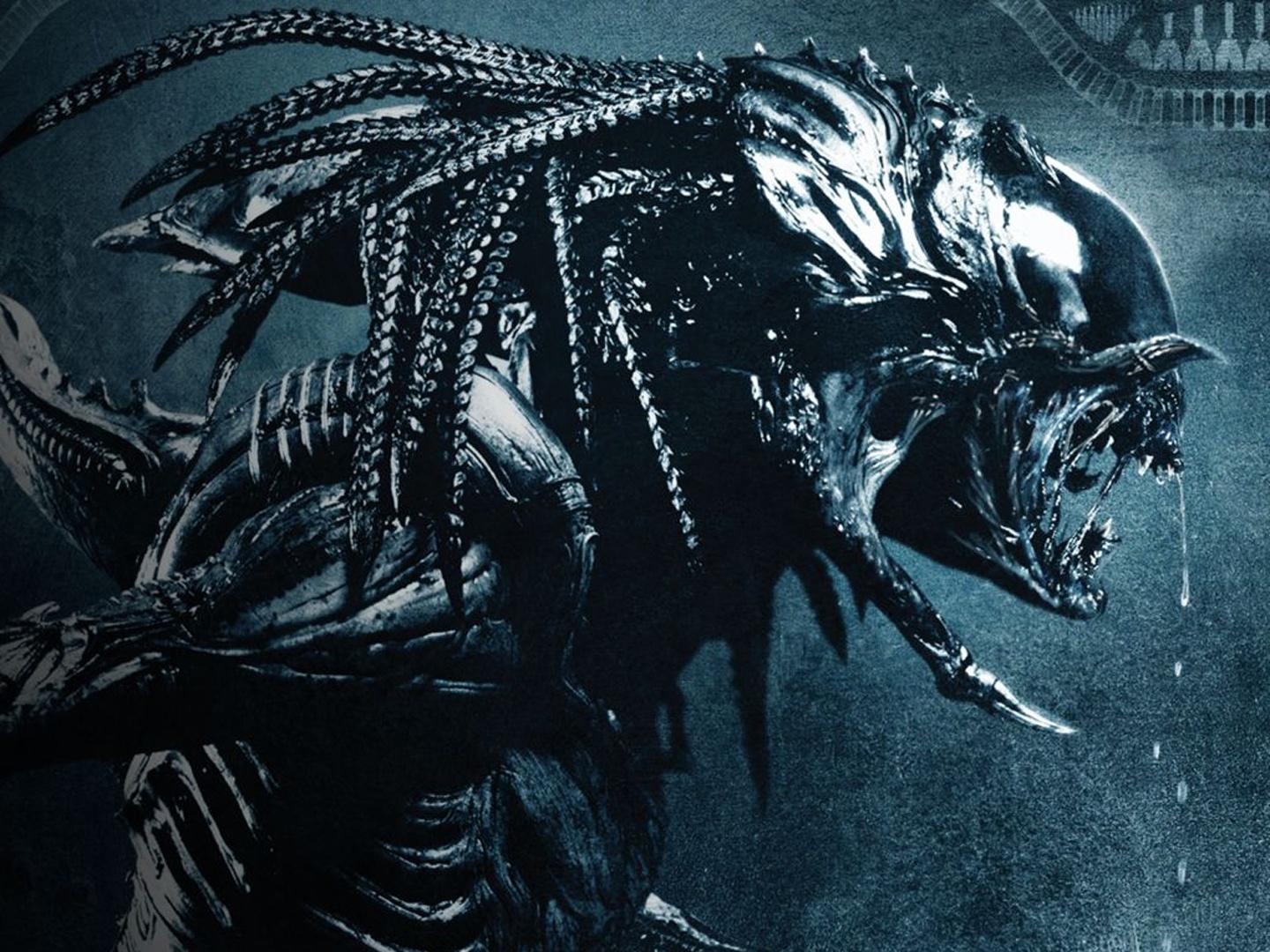 Alien Vs Predator Predator Face