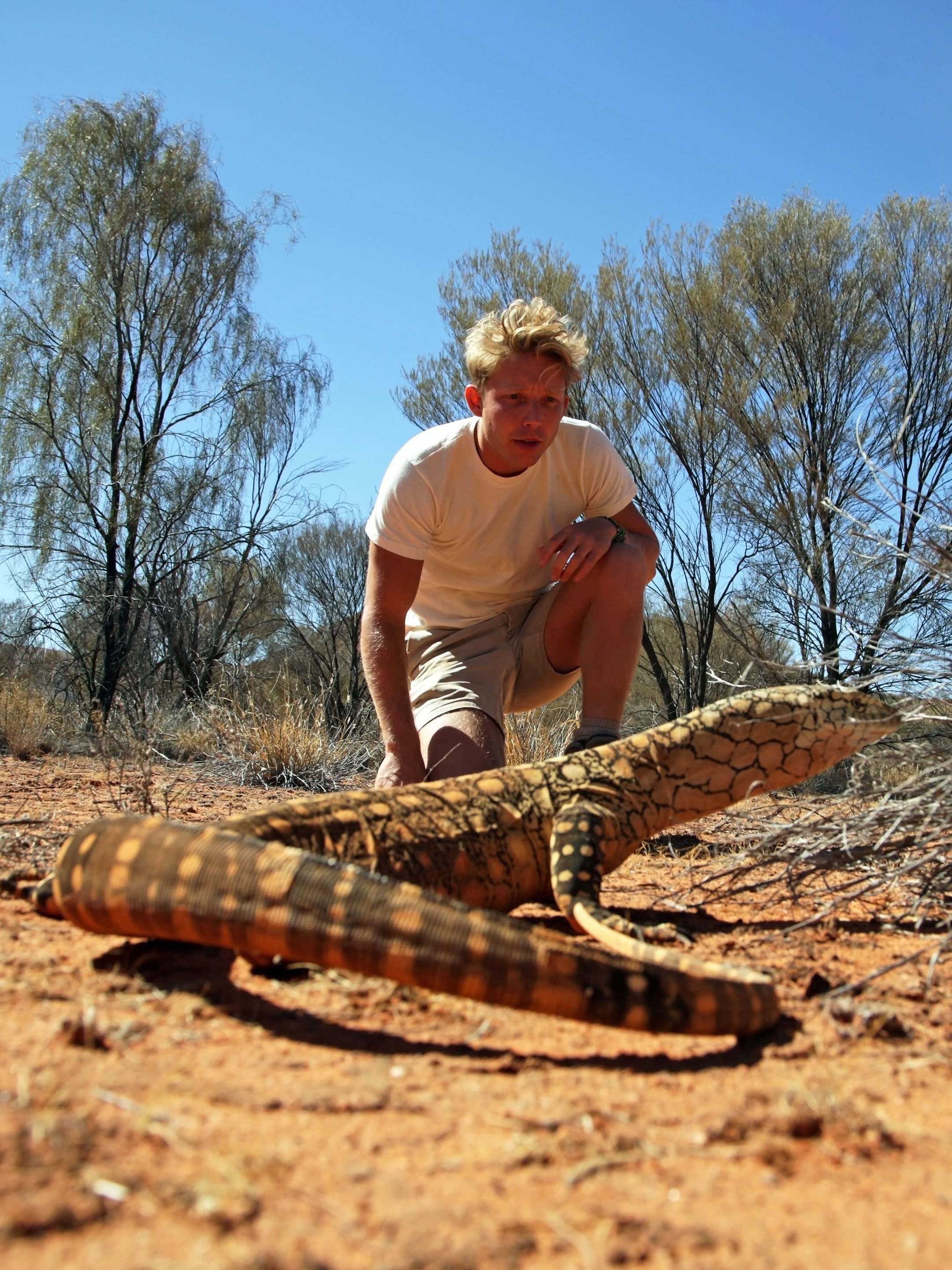 Wild Camel Chase Pictures - Rotten Tomatoes