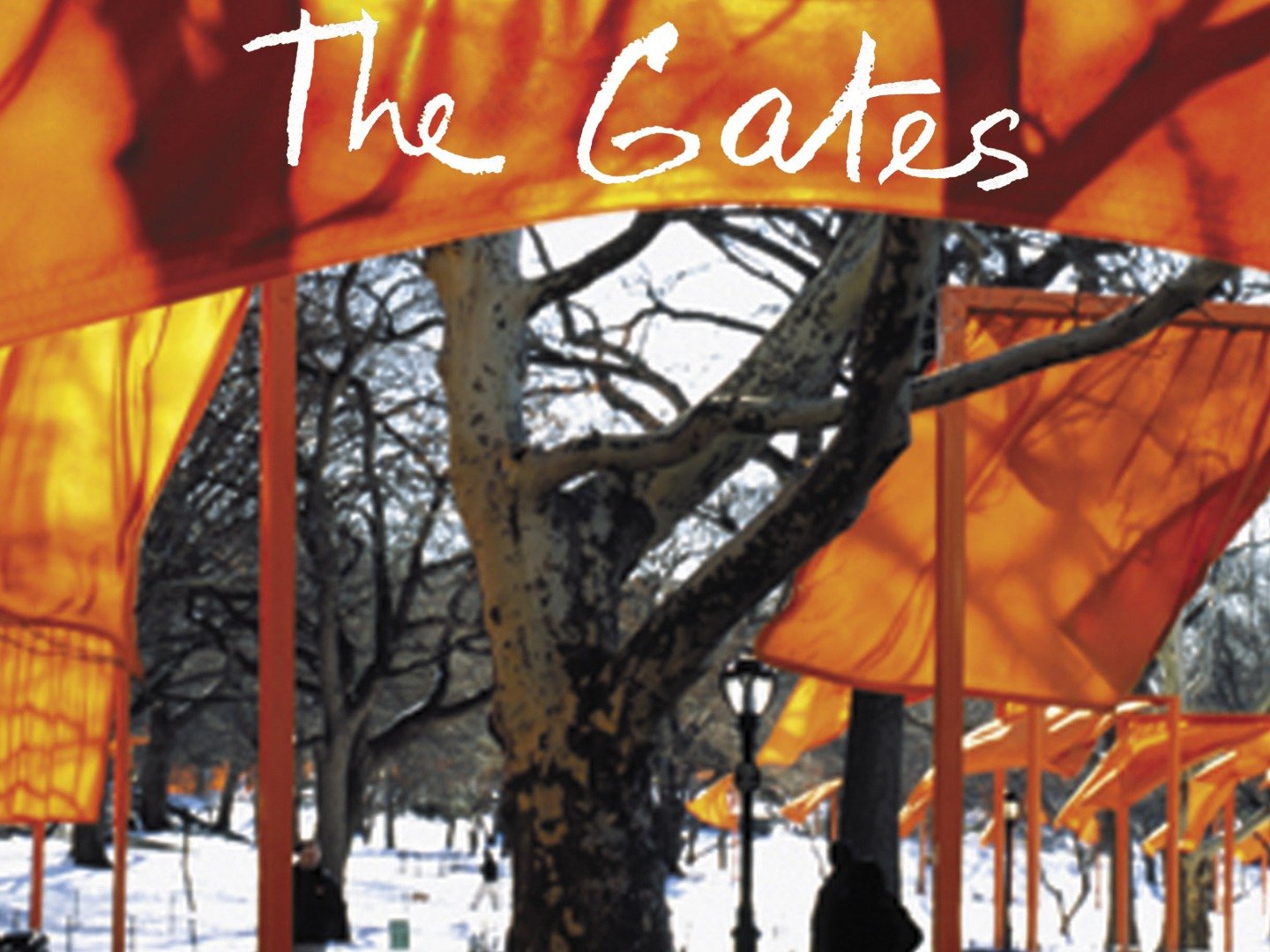 The Gates (2005) - Rotten Tomatoes