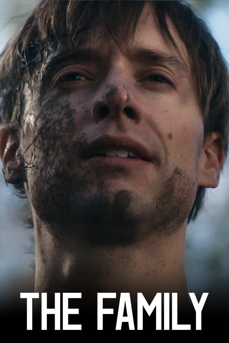 The Family - Rotten Tomatoes