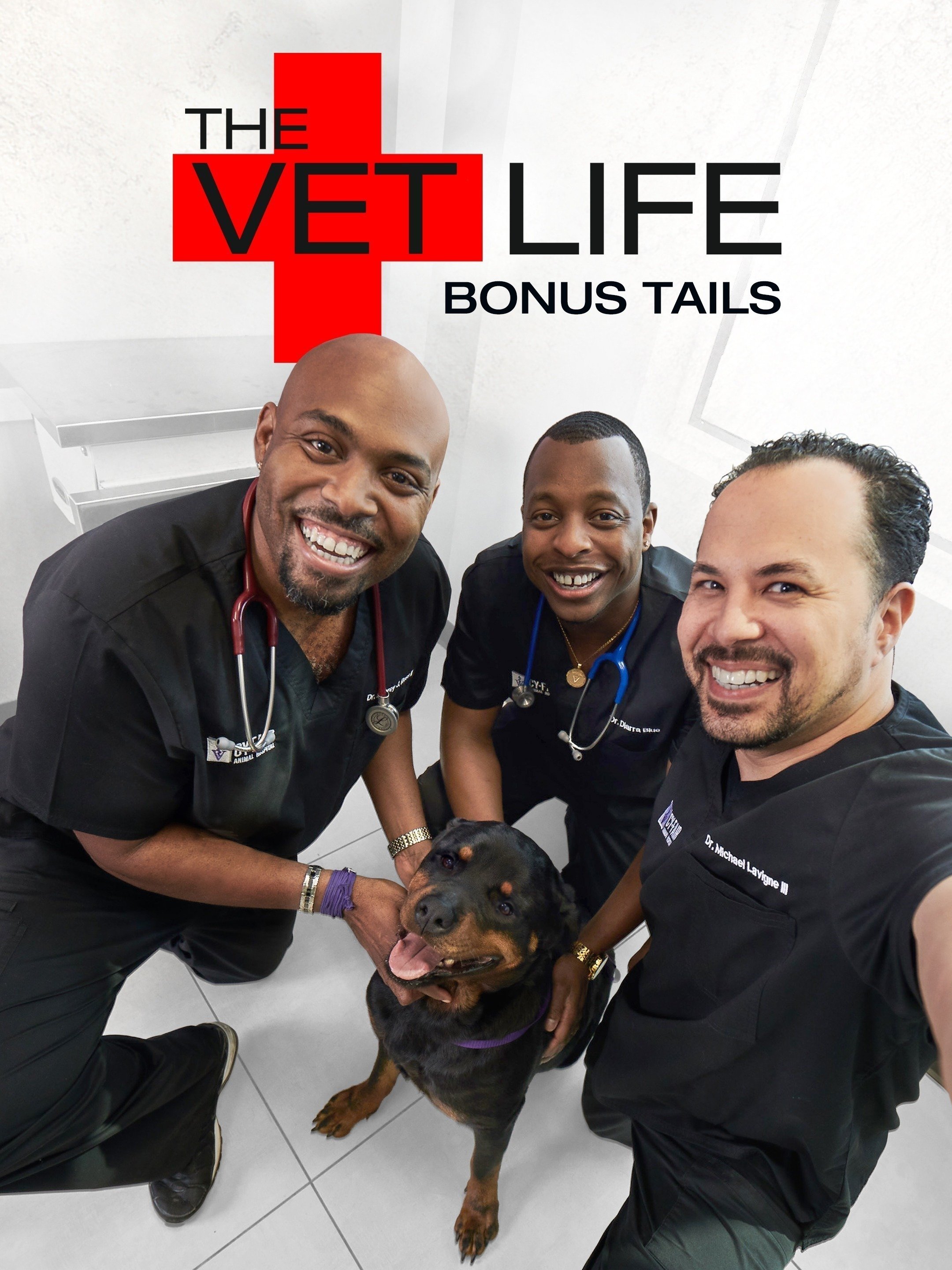 The Vet Life: Bonus Tails: Season 3 Pictures - Rotten Tomatoes
