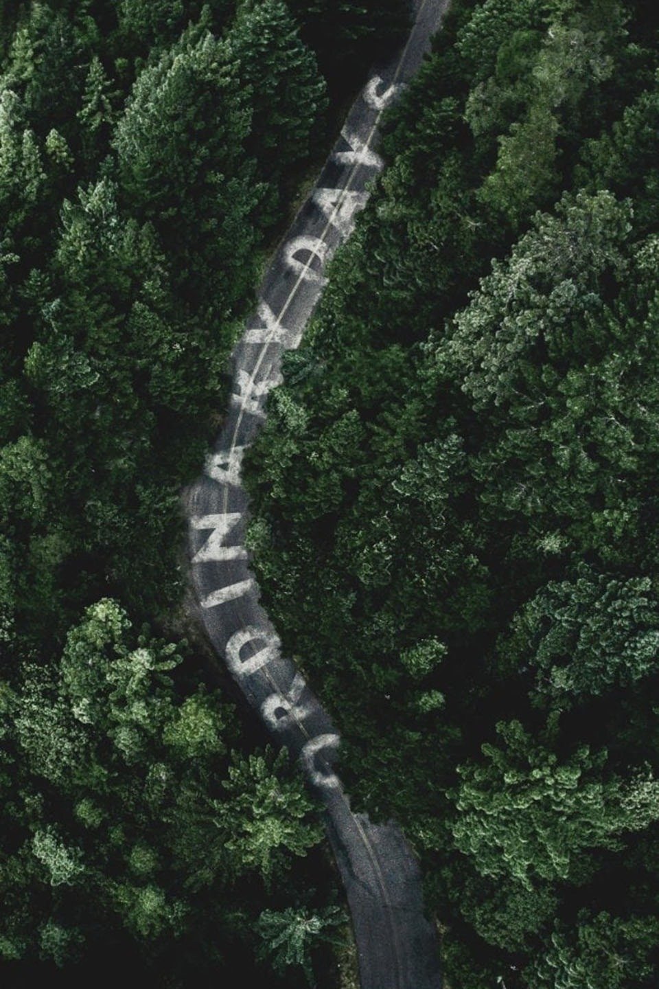 Ordinary Days - Rotten Tomatoes