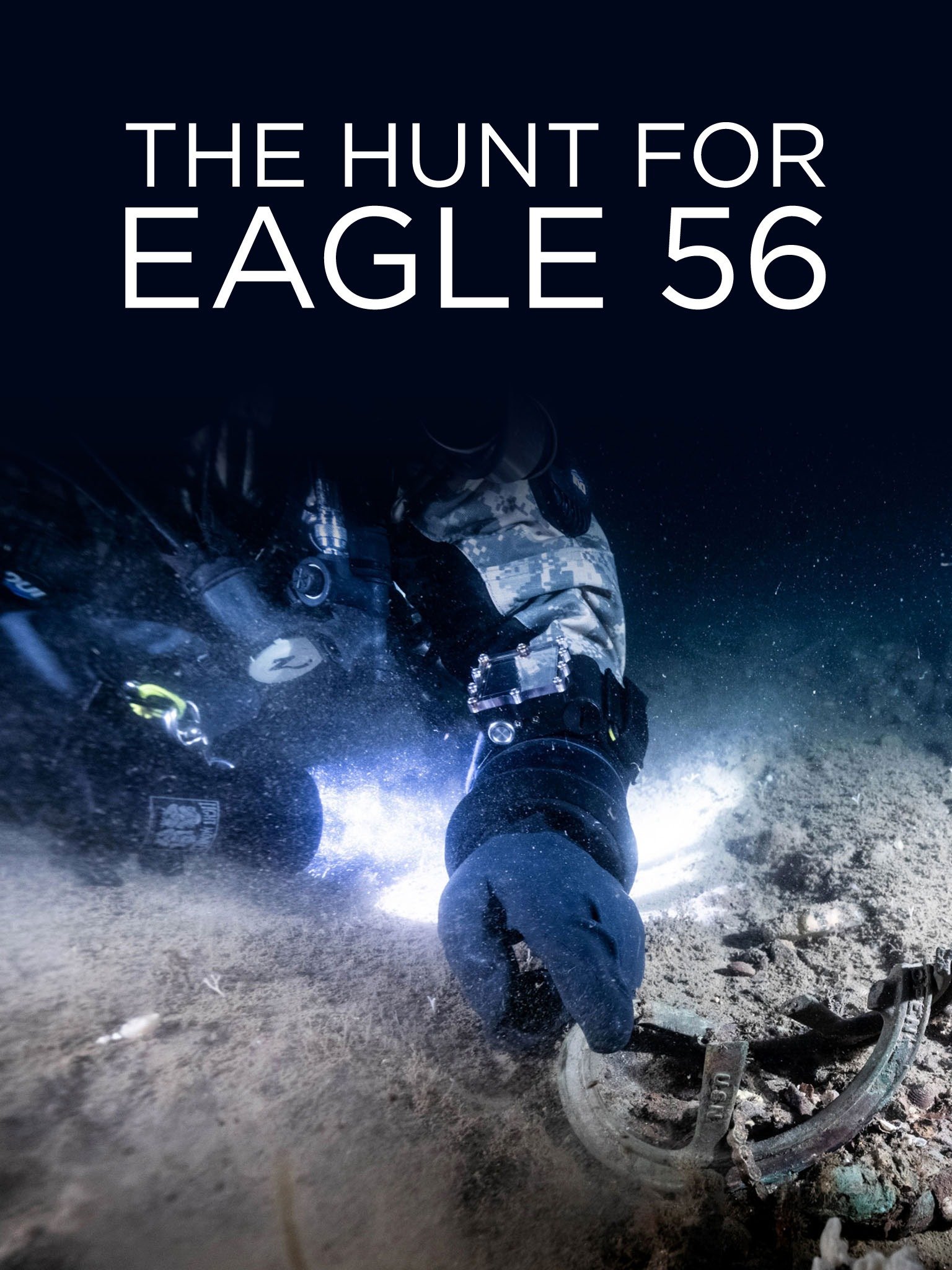 The Hunt for Eagle 56 - Rotten Tomatoes
