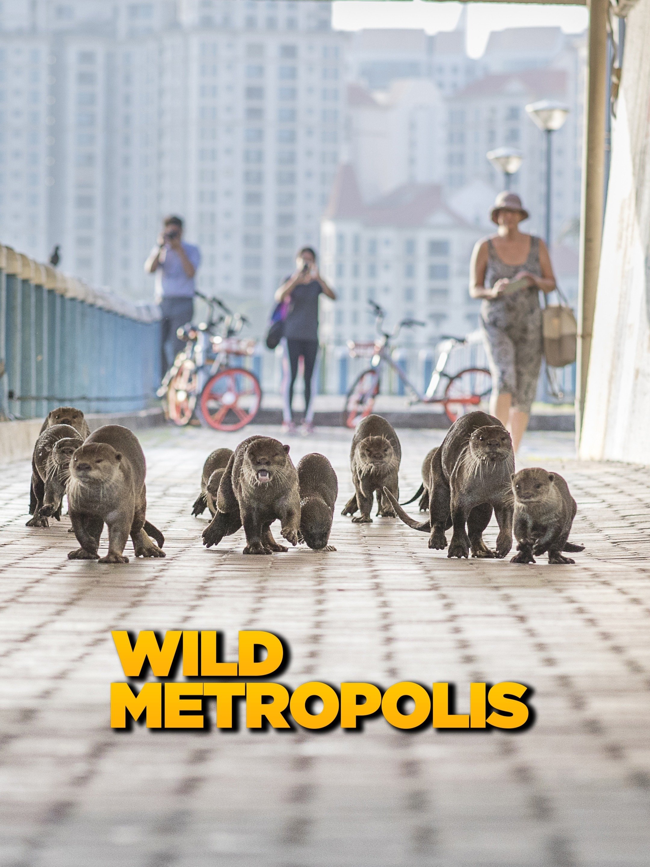 Wild Metropolis - Rotten Tomatoes