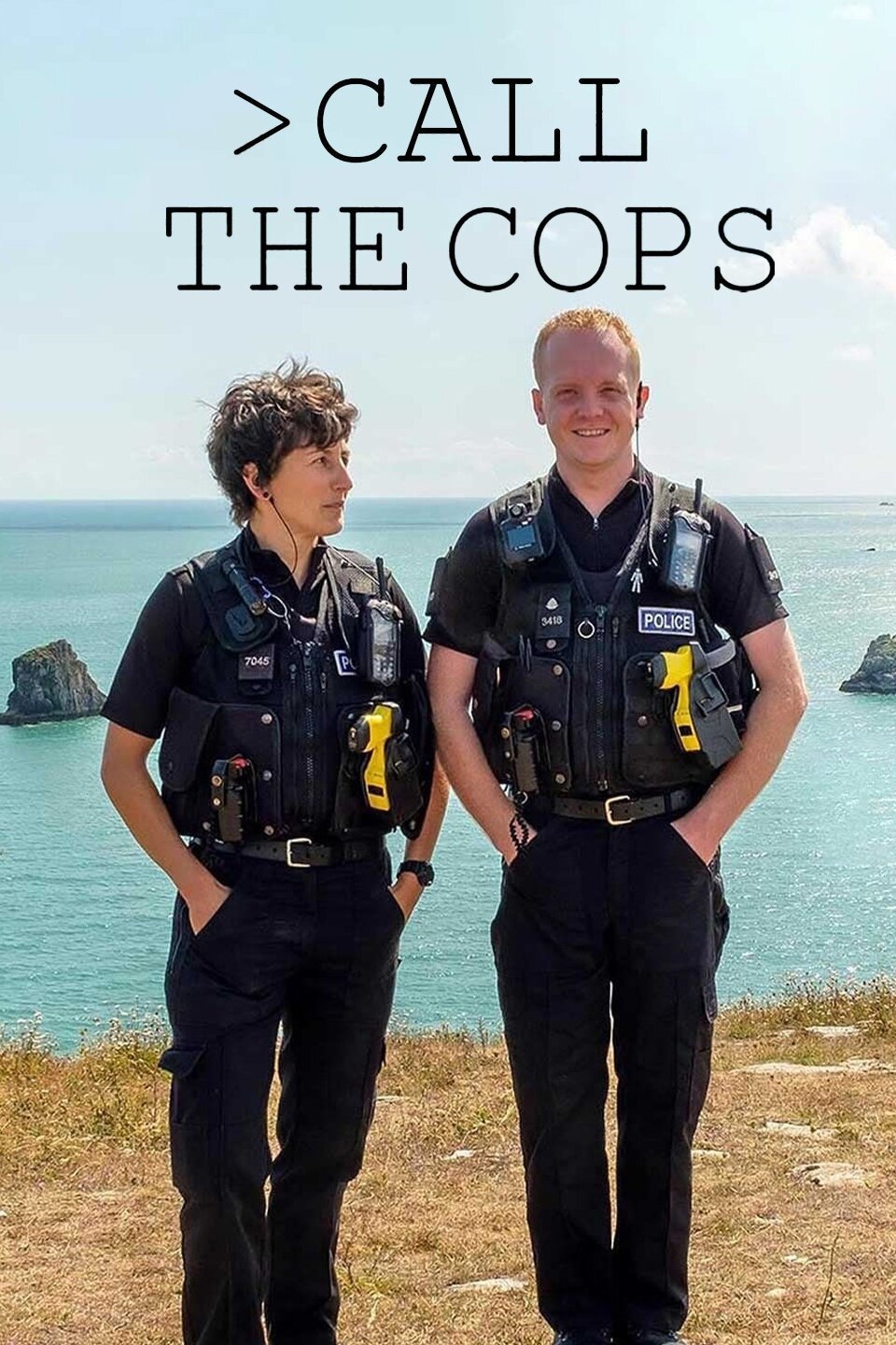 Call the Cops - Rotten Tomatoes