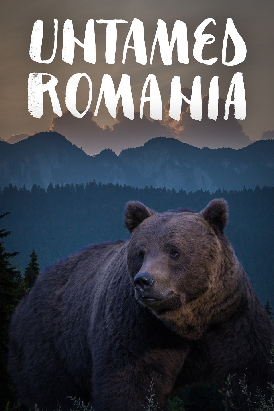 Untamed Romania - Rotten Tomatoes