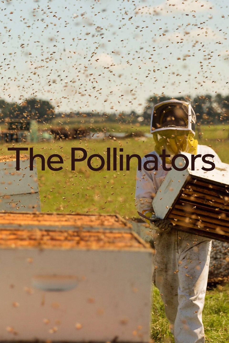 The Pollinators - Rotten Tomatoes