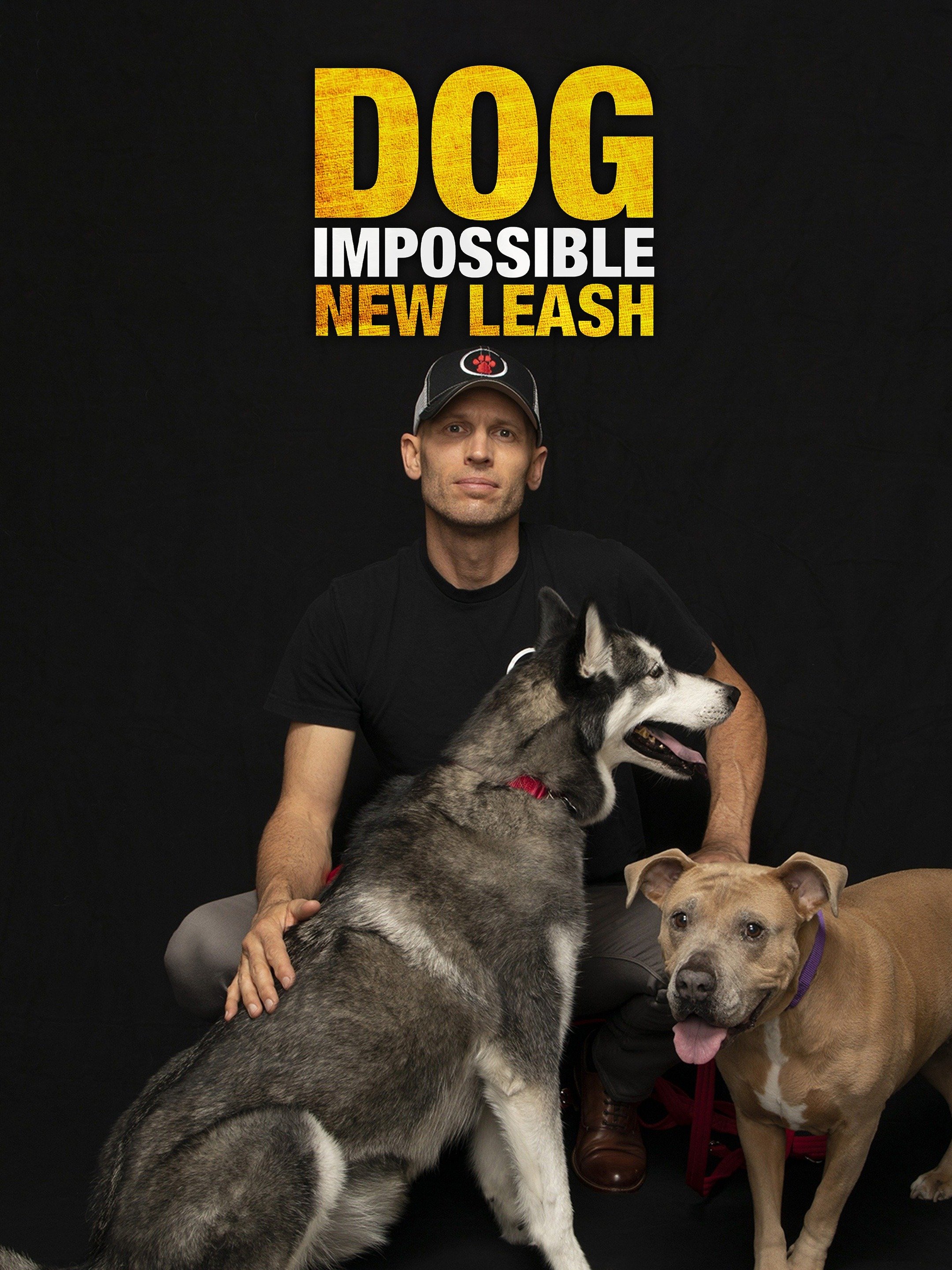 Dog: Impossible: New Leash - Rotten Tomatoes