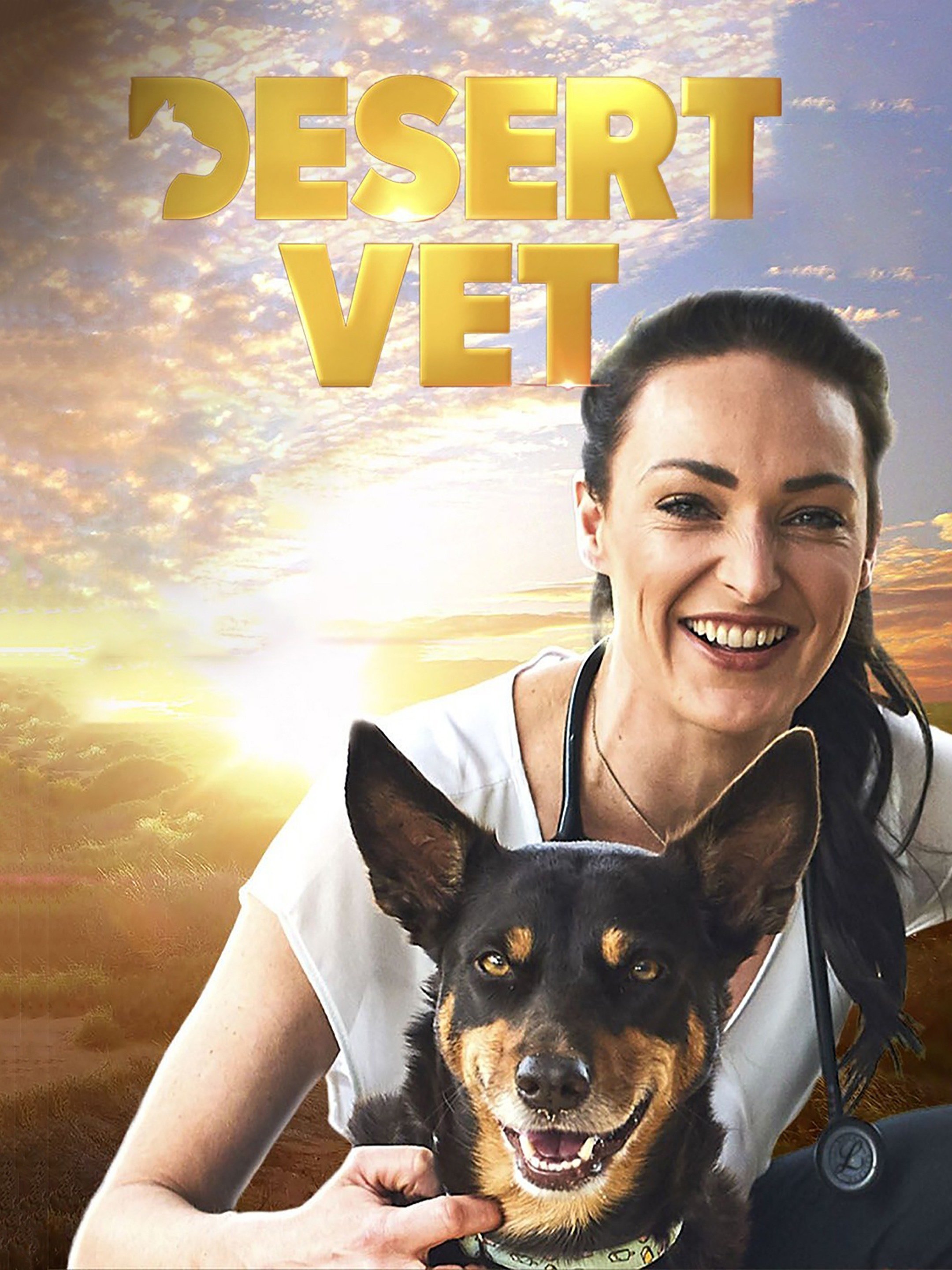 Desert Vet - Rotten Tomatoes