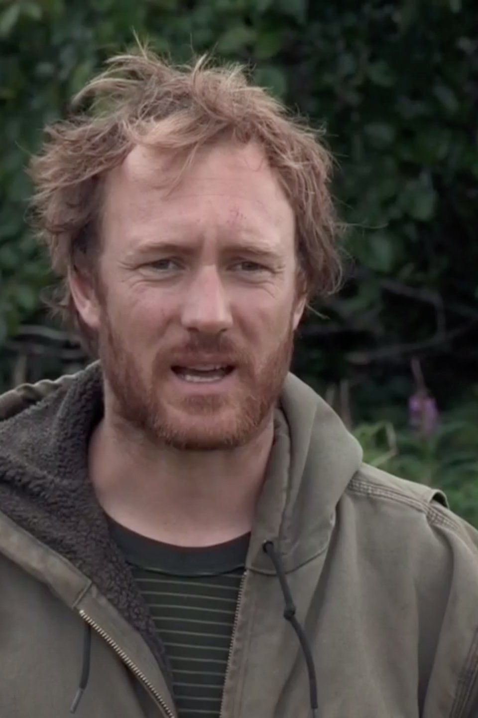 When Cows Go Wild Pictures - Rotten Tomatoes