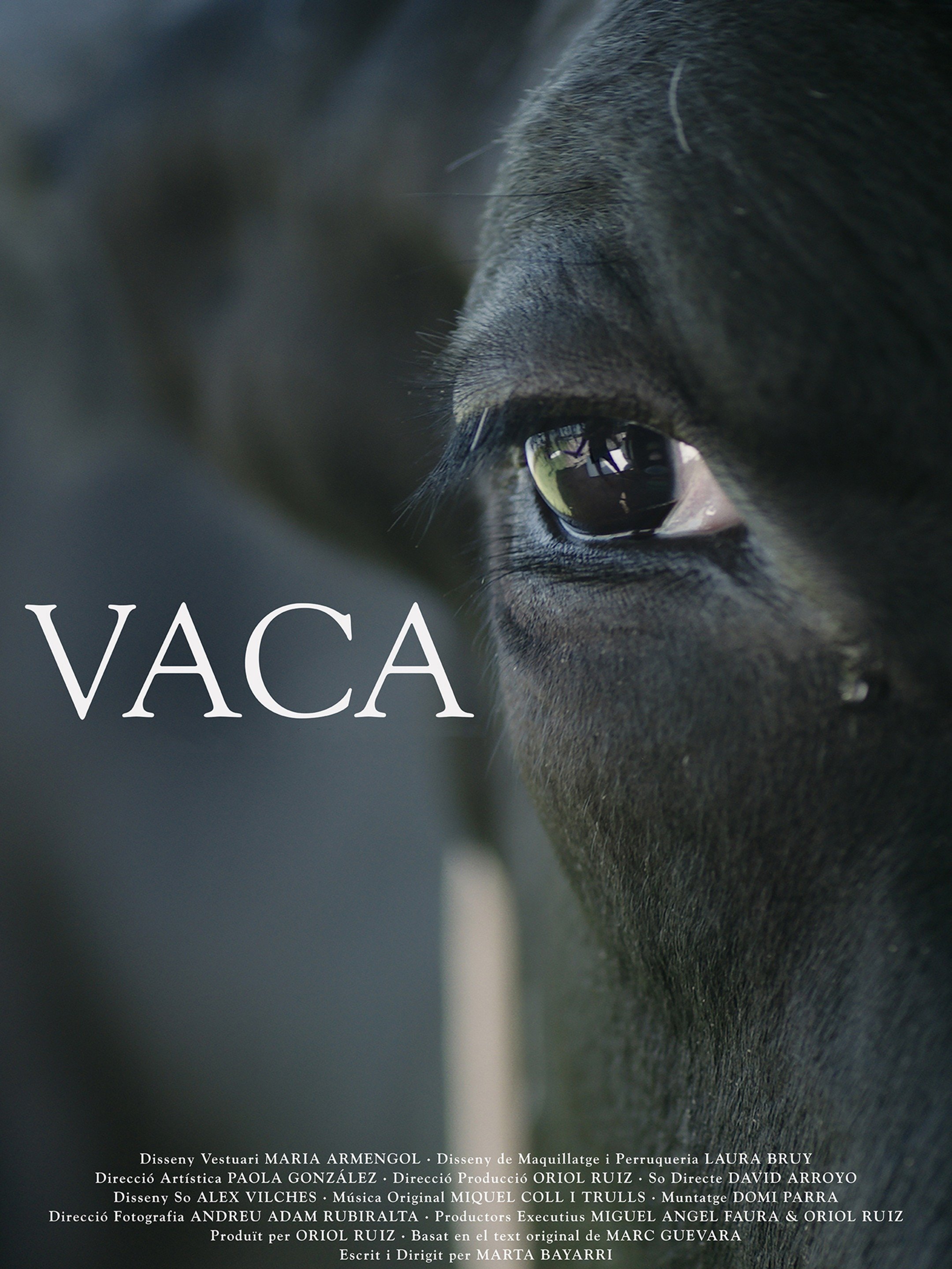 Vaca (2018) - Rotten Tomatoes