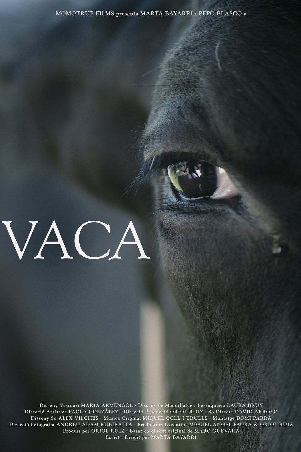 Vaca - Rotten Tomatoes