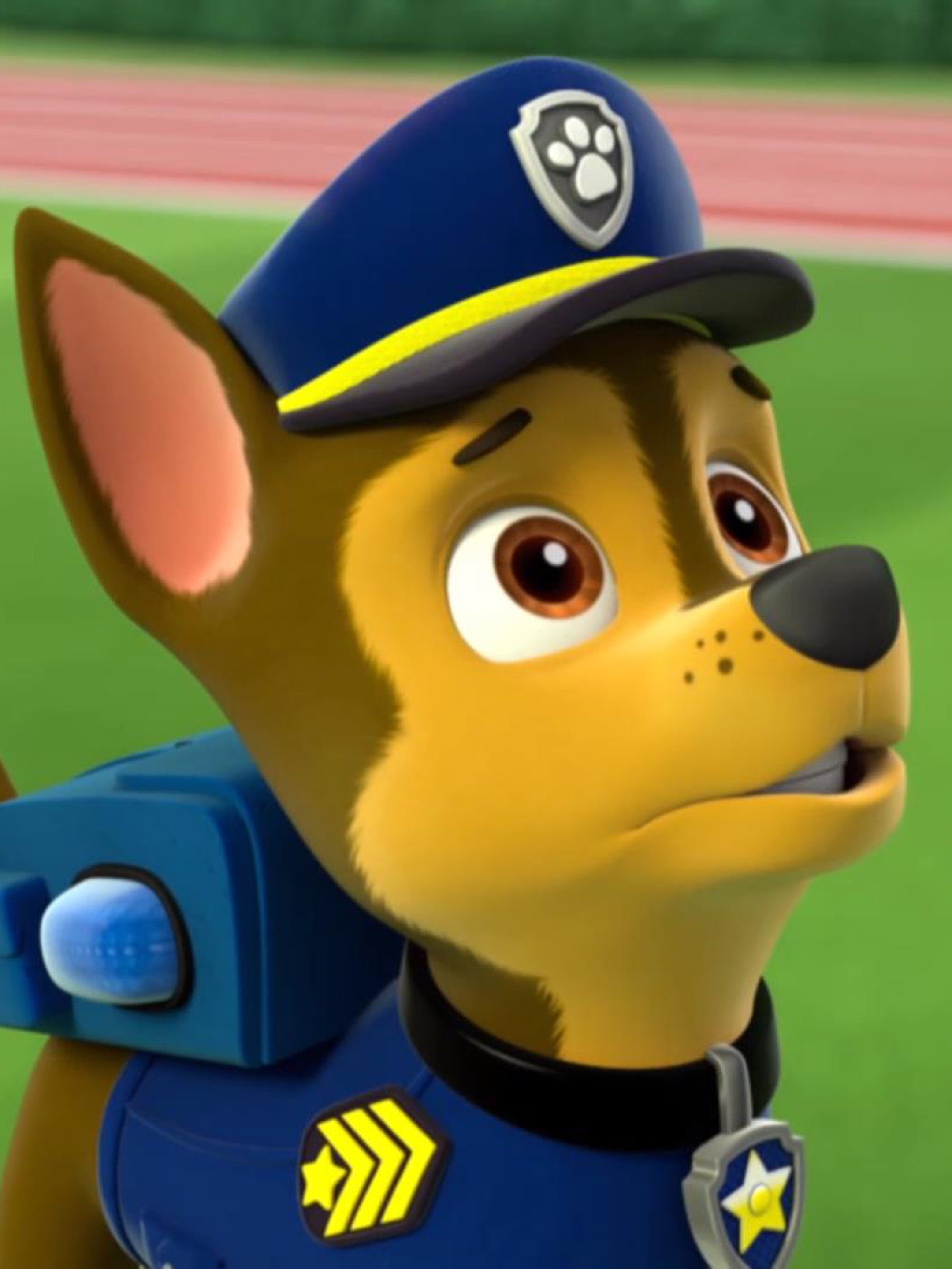 Pups Save a Bat Family Pictures - Rotten Tomatoes