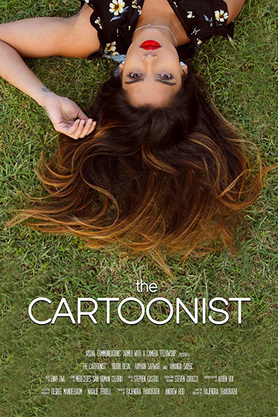 The Cartoonist - Rotten Tomatoes