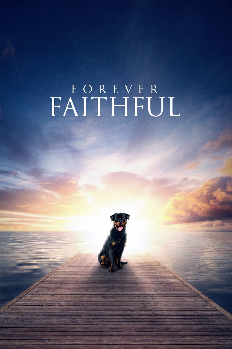 Forever Faithful - Rotten Tomatoes