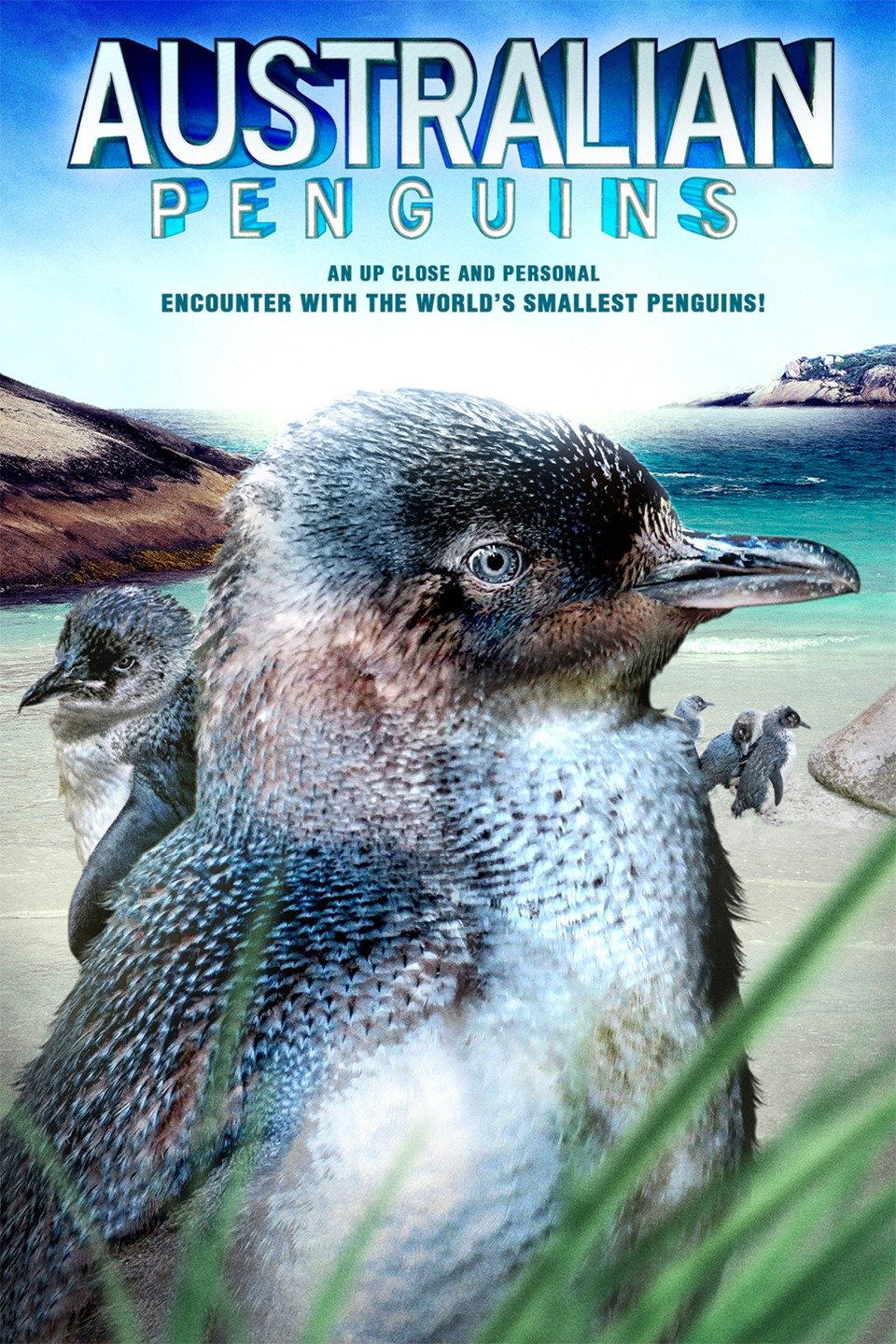 Australian Penguins - Rotten Tomatoes