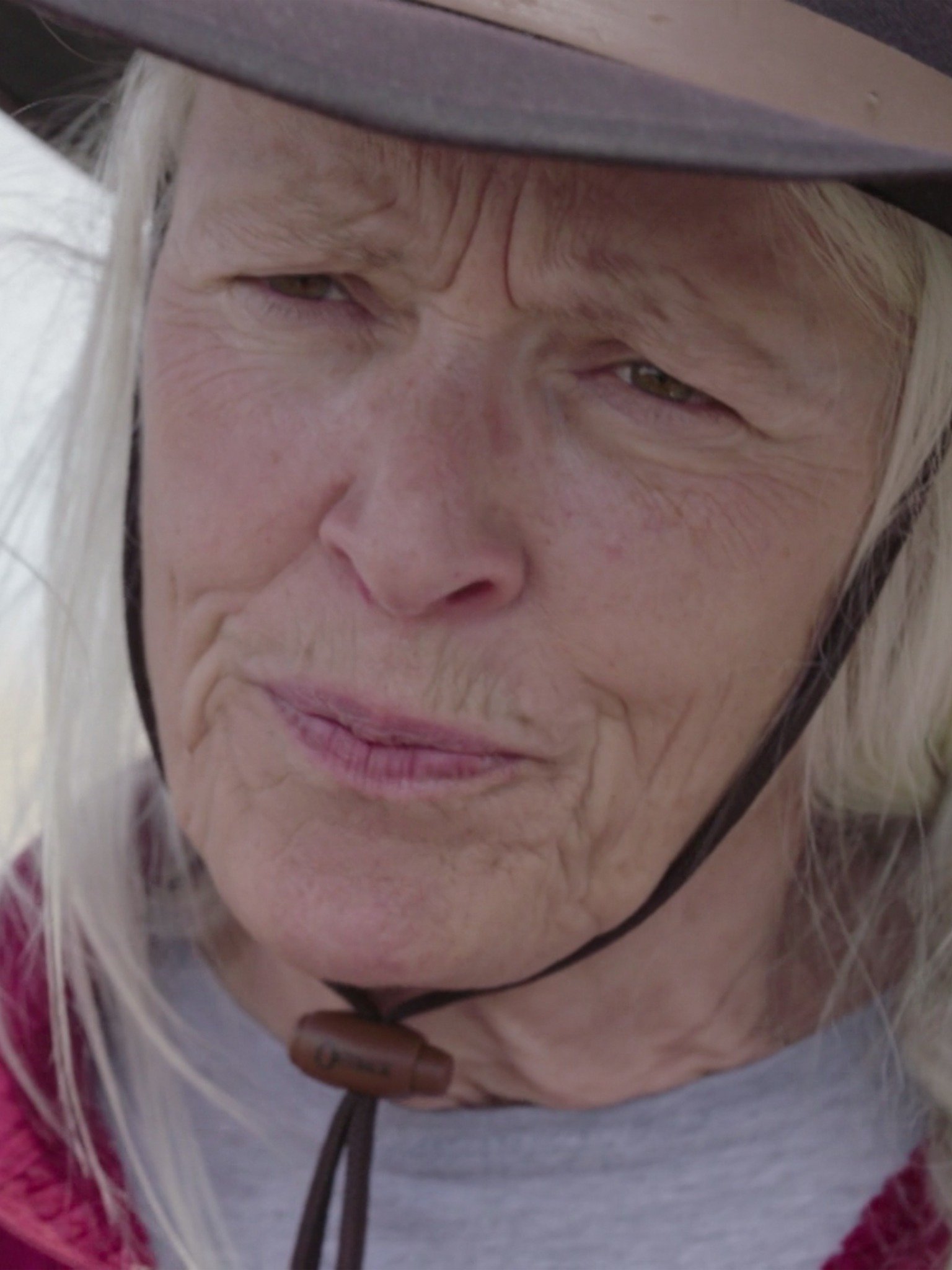 The Dinosaur Expert Pictures - Rotten Tomatoes