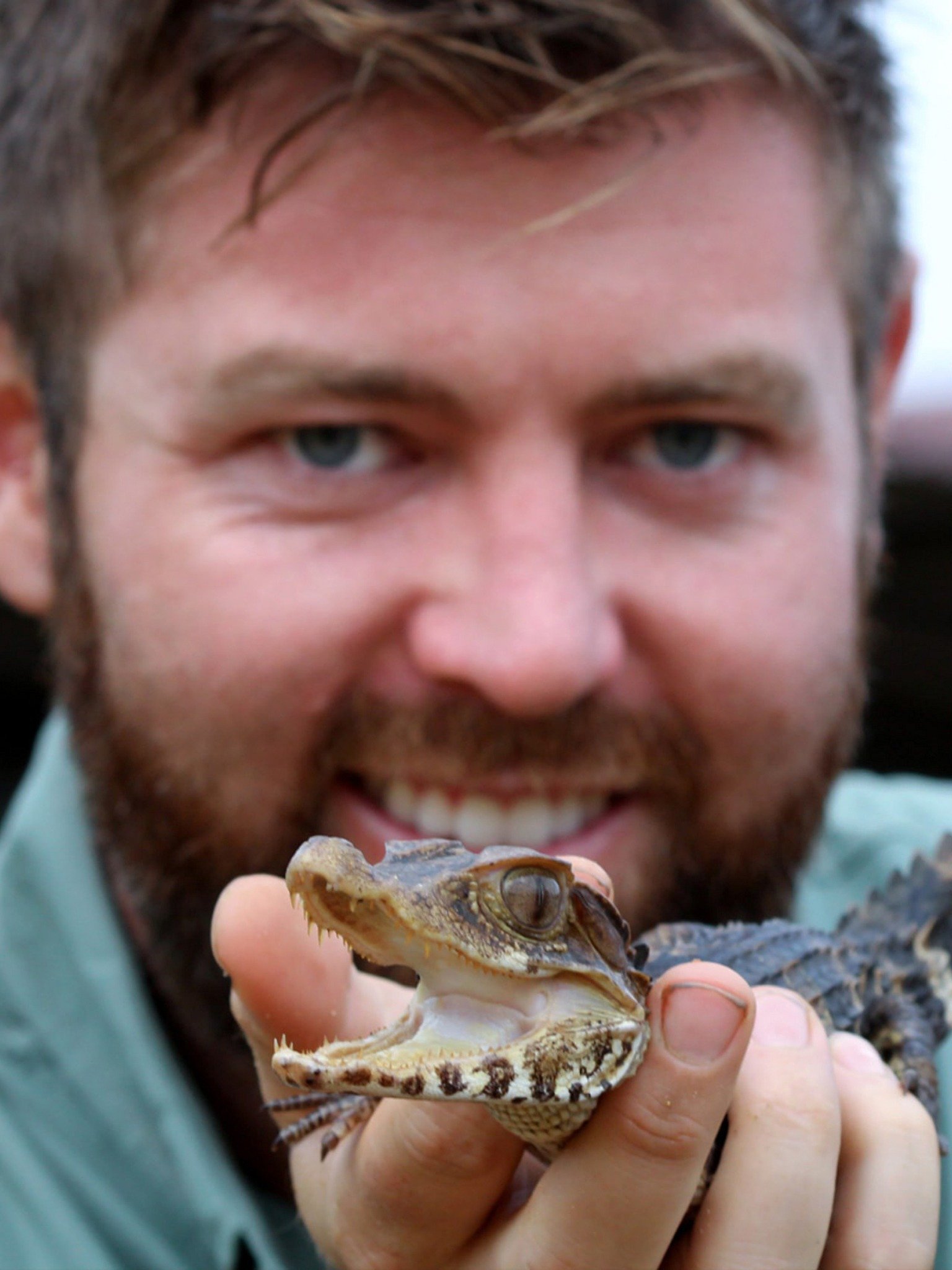 Colombian Dinosaur Pictures - Rotten Tomatoes