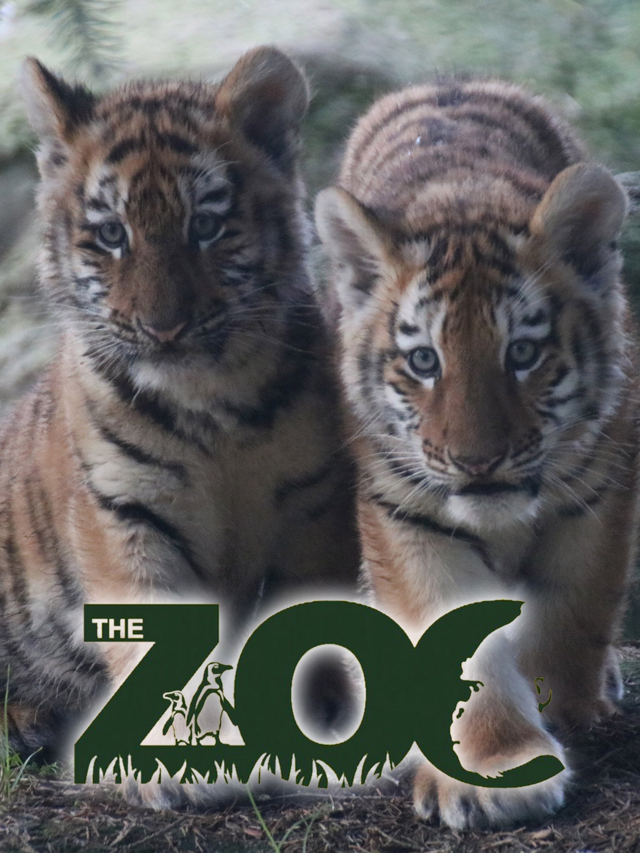 The Zoo - Rotten Tomatoes