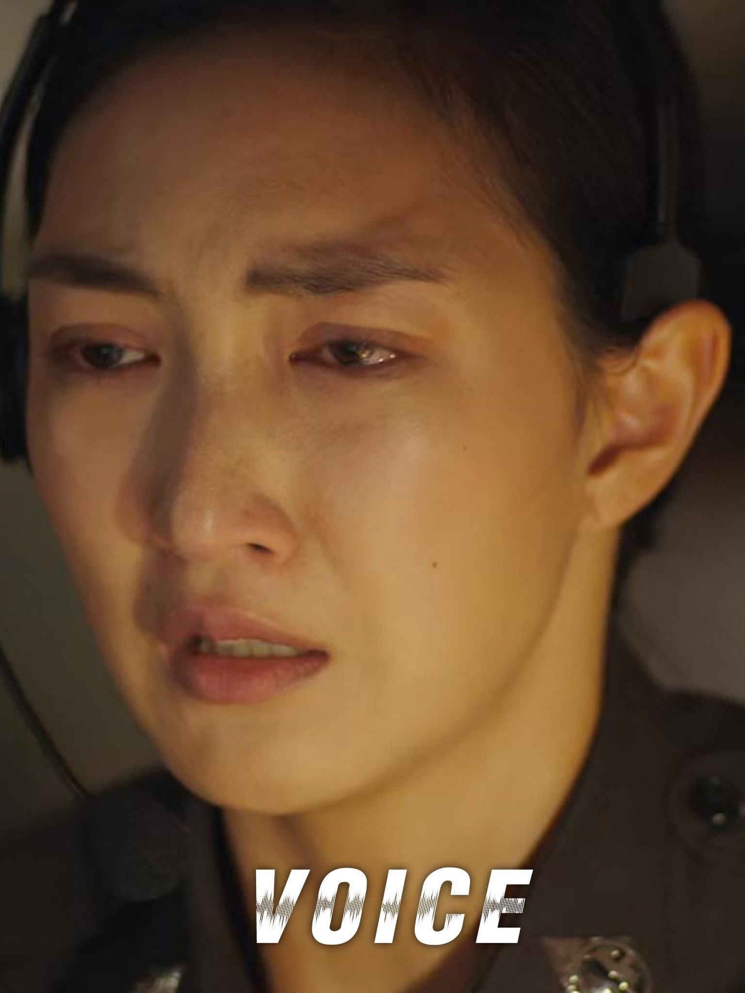 Voice - Rotten Tomatoes