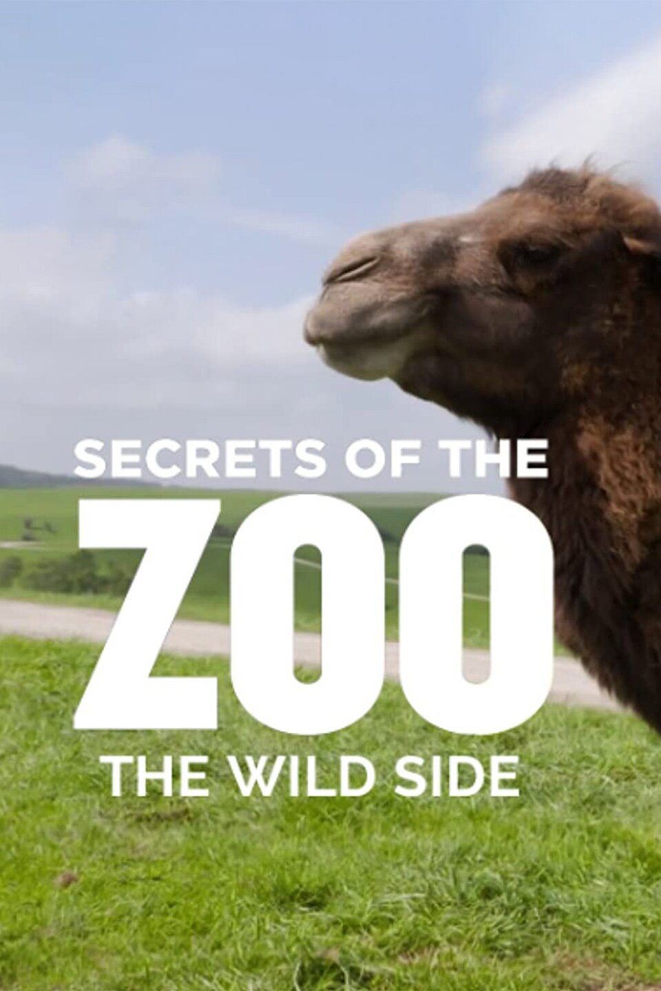 Secrets of the Zoo: The Wild Side - Rotten Tomatoes