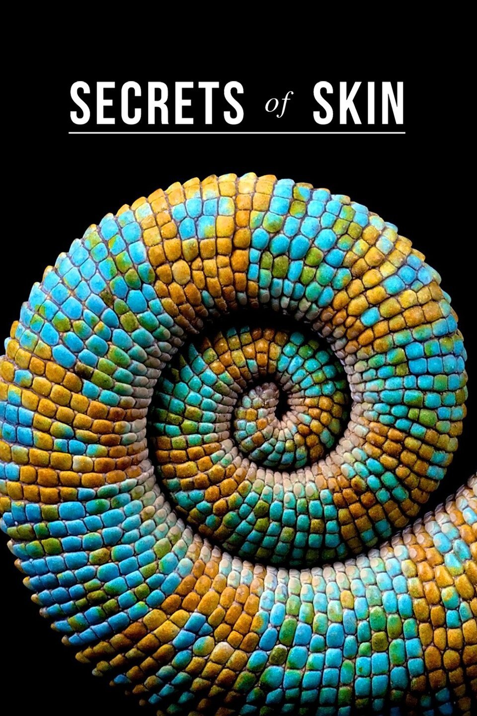 Secrets of Skin - Rotten Tomatoes