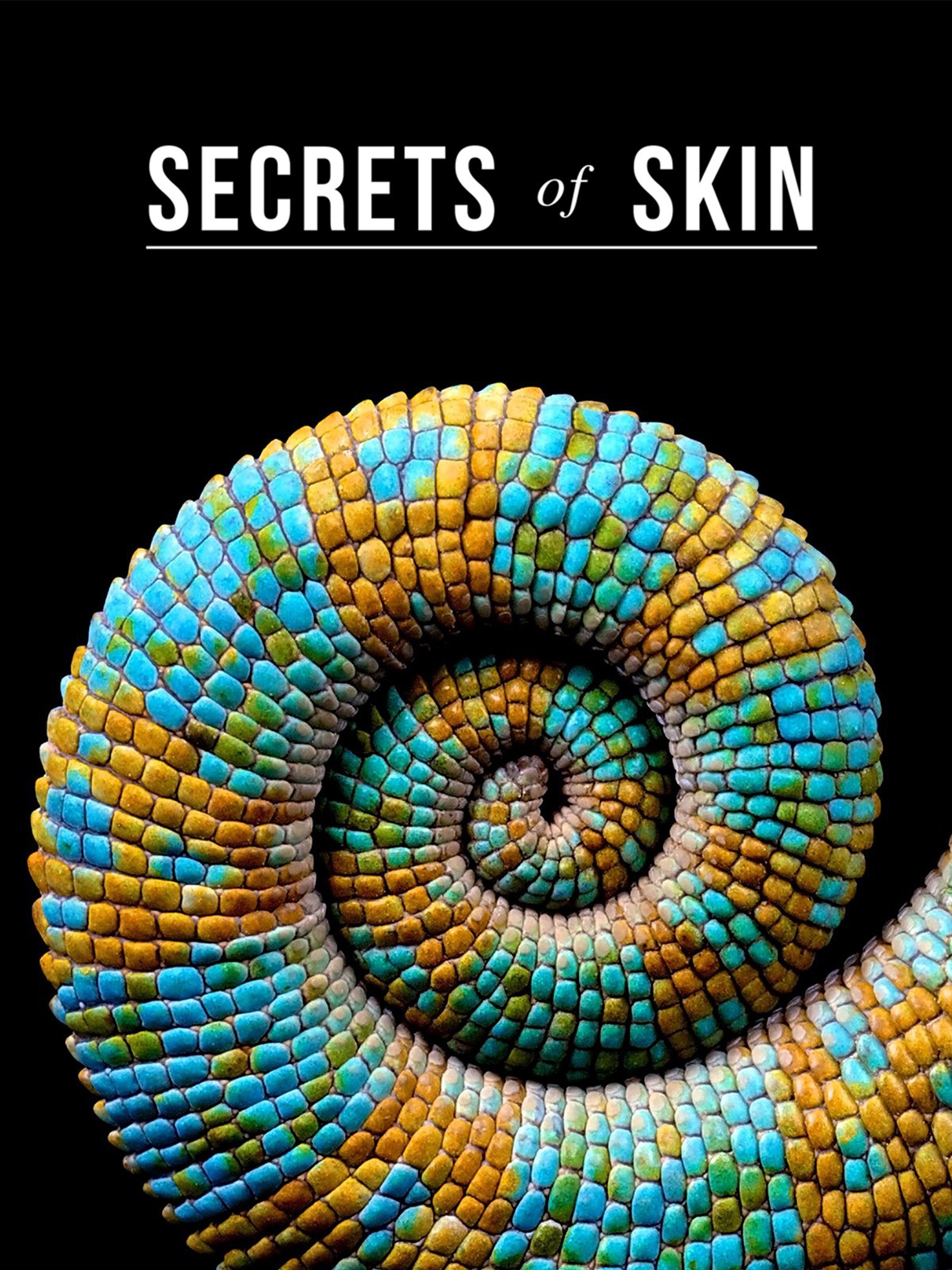 Secrets of Skin - Rotten Tomatoes
