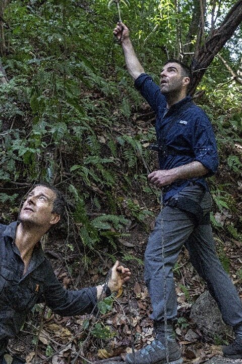 Zachary Scott Rotten Tomatoes