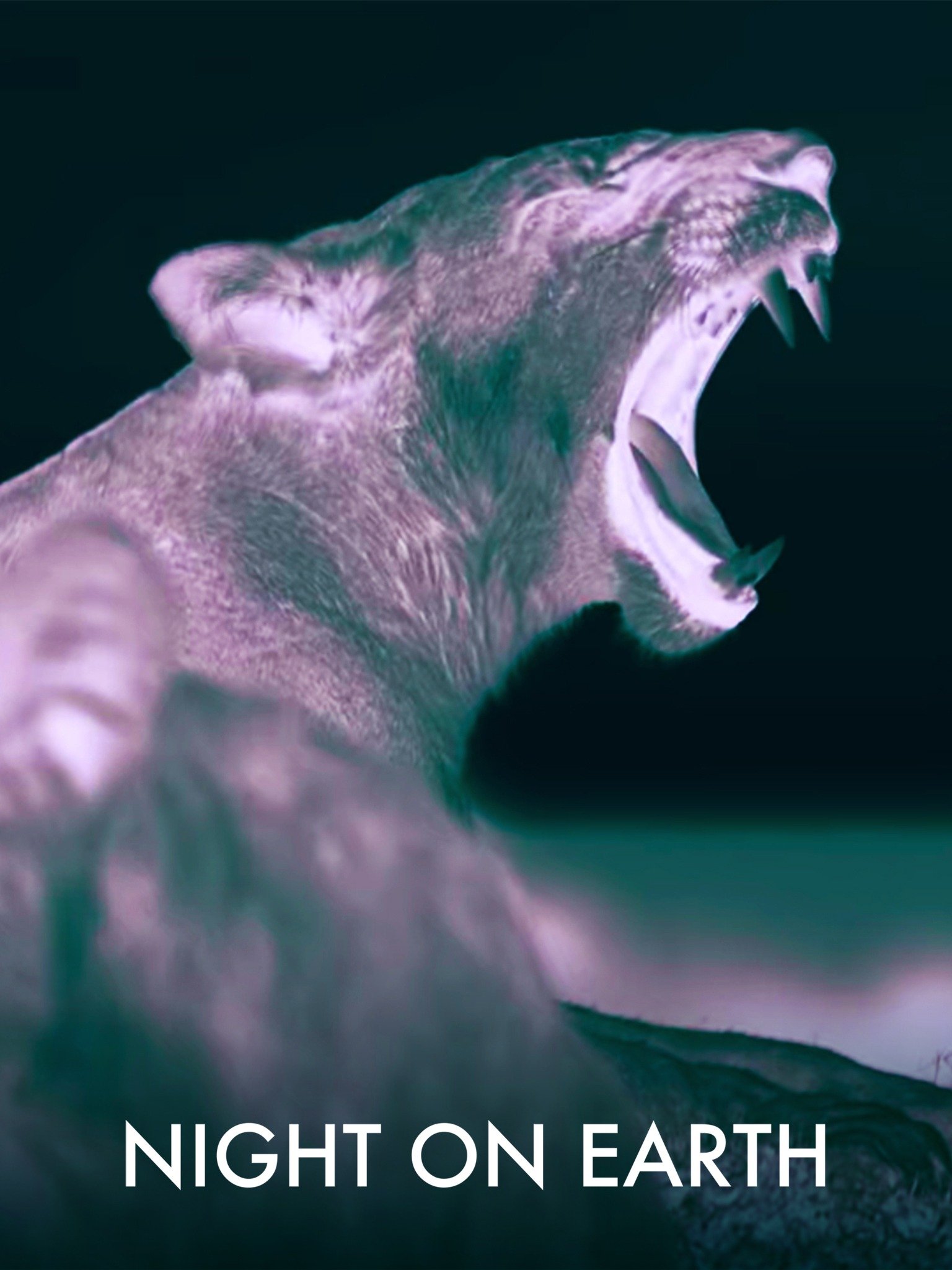 Night on Earth - Rotten Tomatoes