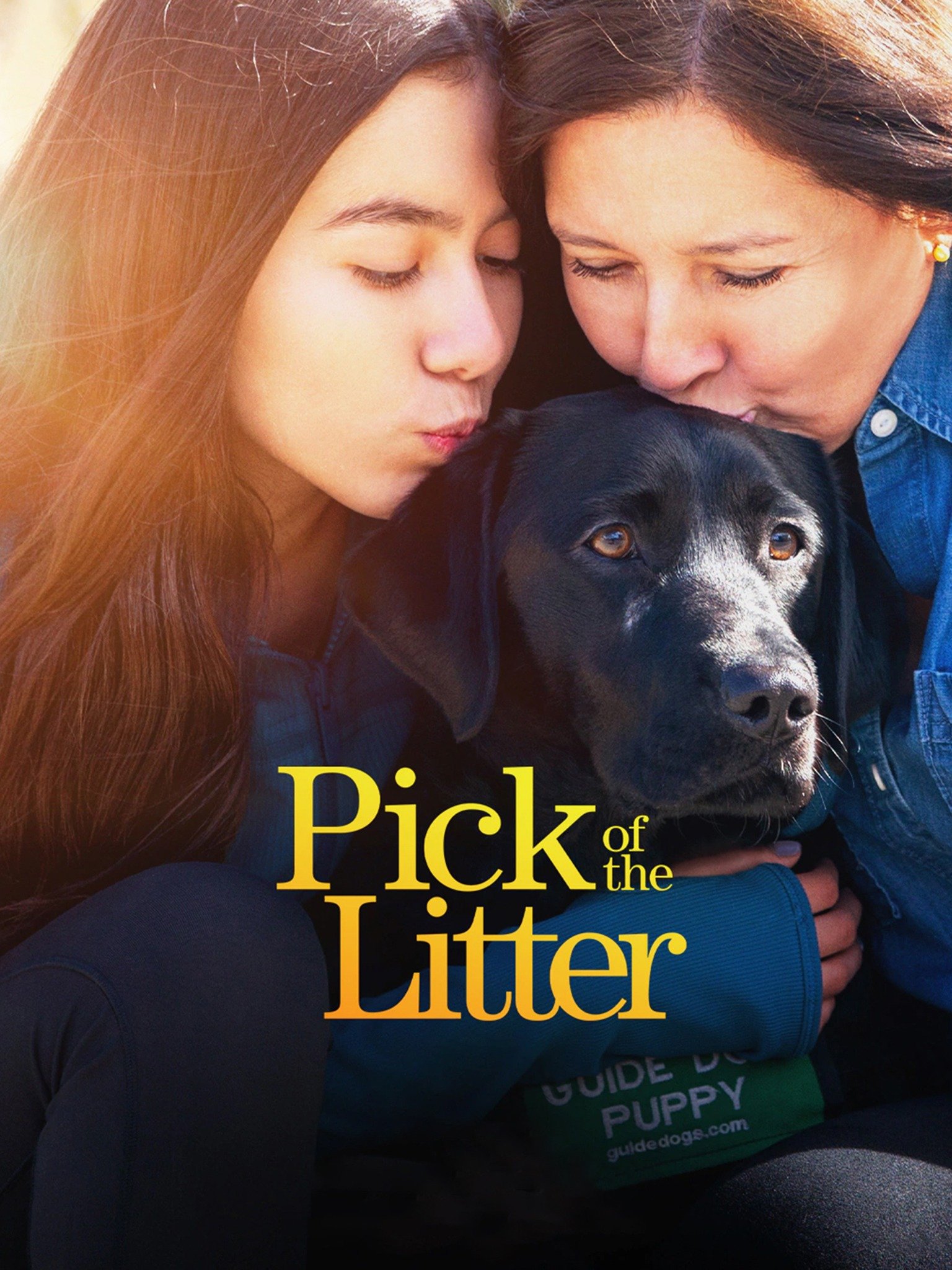 Pick of the Litter - Rotten Tomatoes