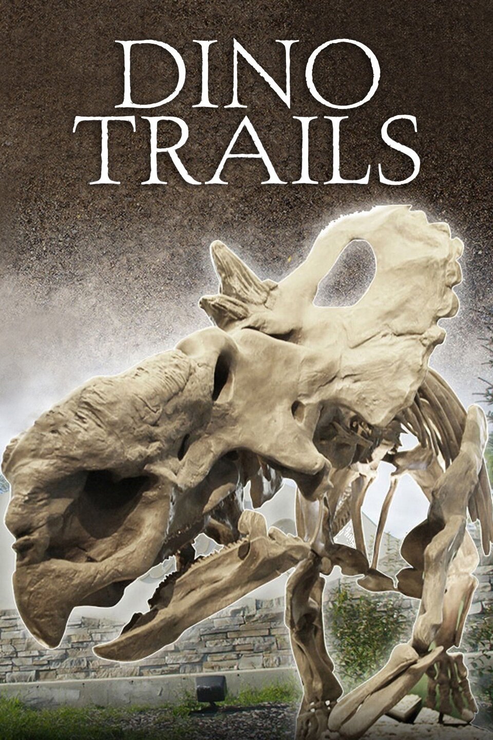 Dino Trails: Season 2 Pictures - Rotten Tomatoes