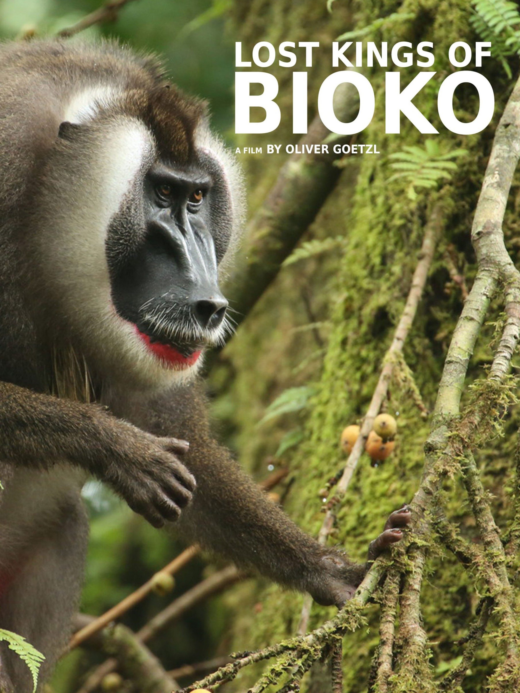 Lost Kings of Bioko - Rotten Tomatoes