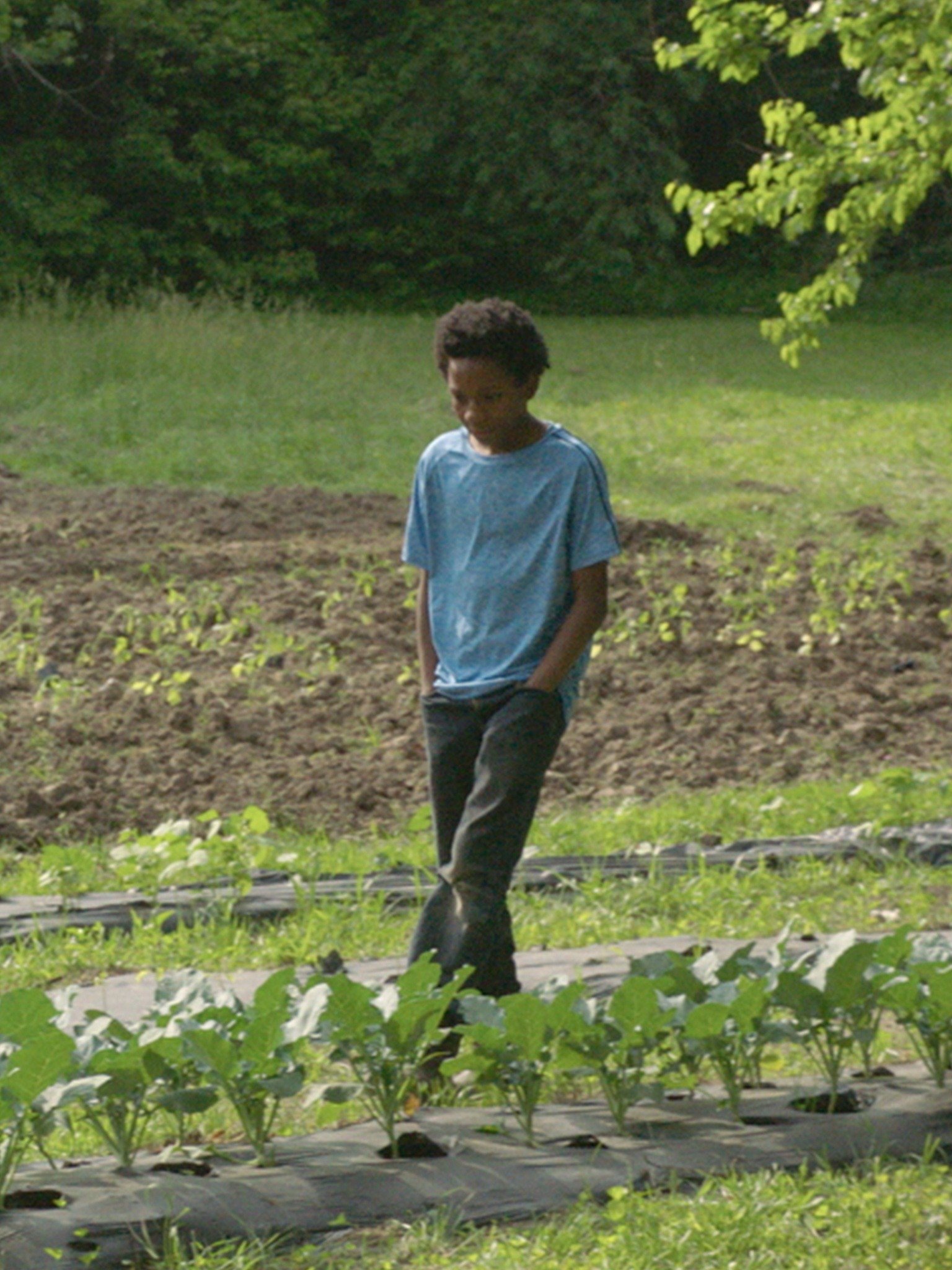 Astonishing Austin Pictures - Rotten Tomatoes