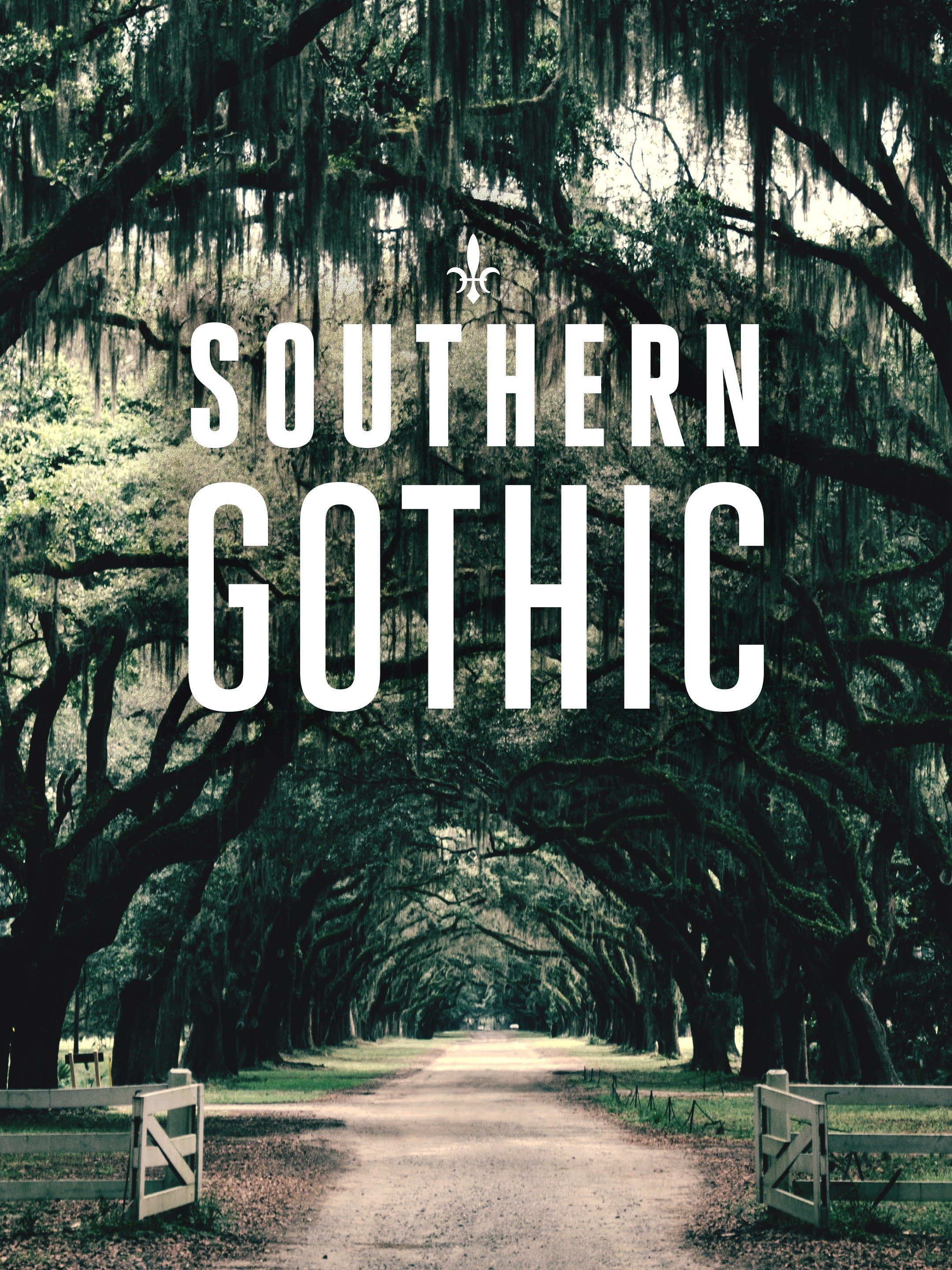 Southern Gothic - Rotten Tomatoes