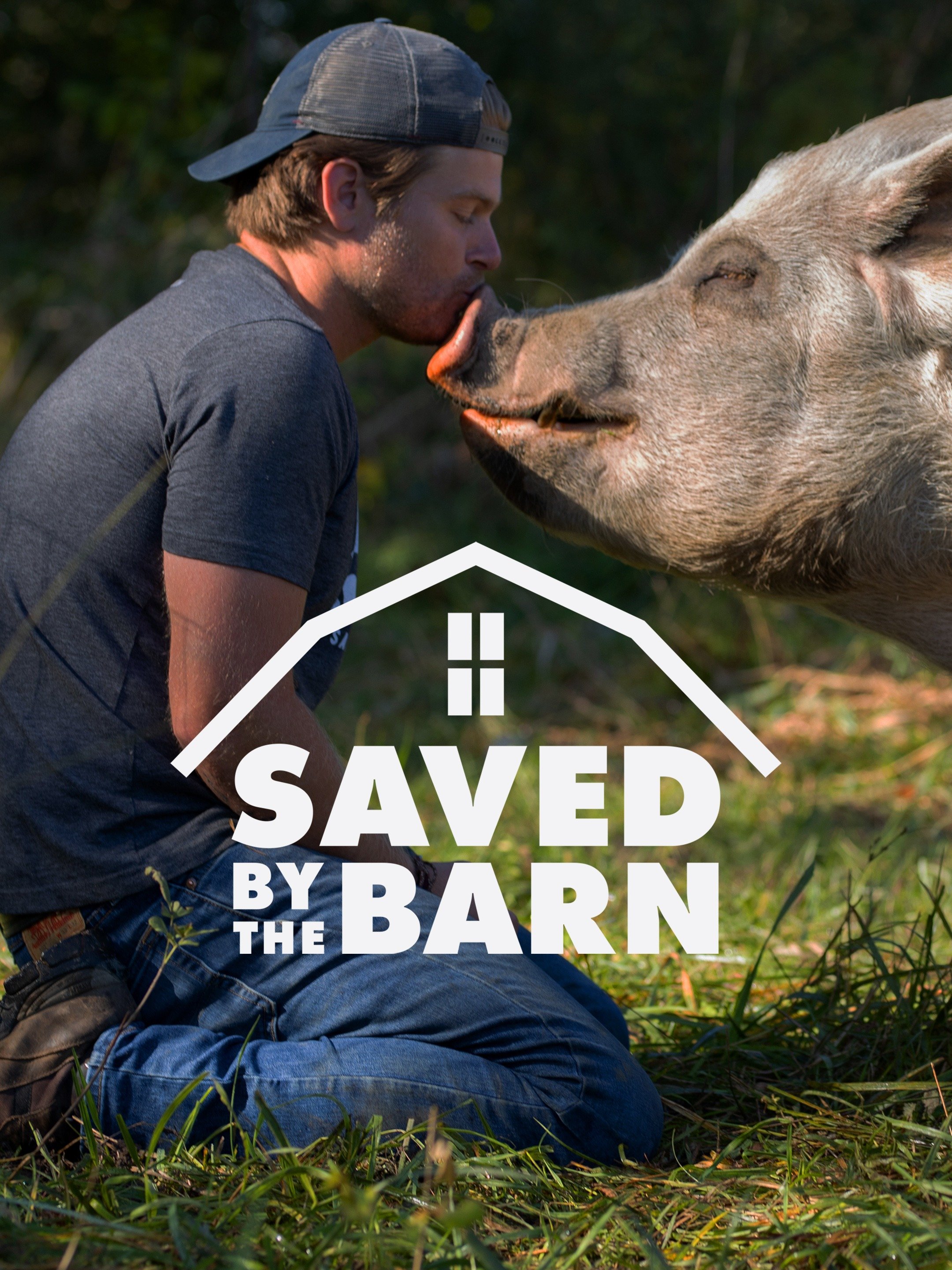 Saved By The Barn - Rotten Tomatoes