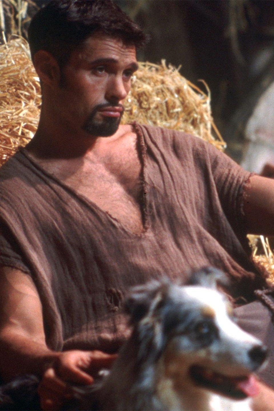 Old Ares Had a Farm Pictures - Rotten Tomatoes